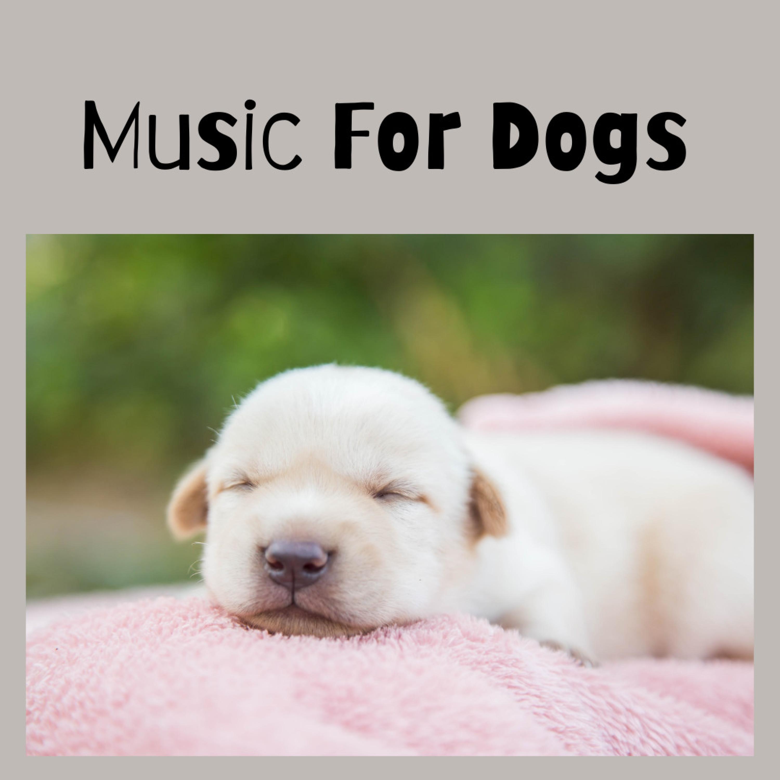 Man's Best Friend - Music For Dogs/Music For Dogs Peace/Relaxing Puppy ...