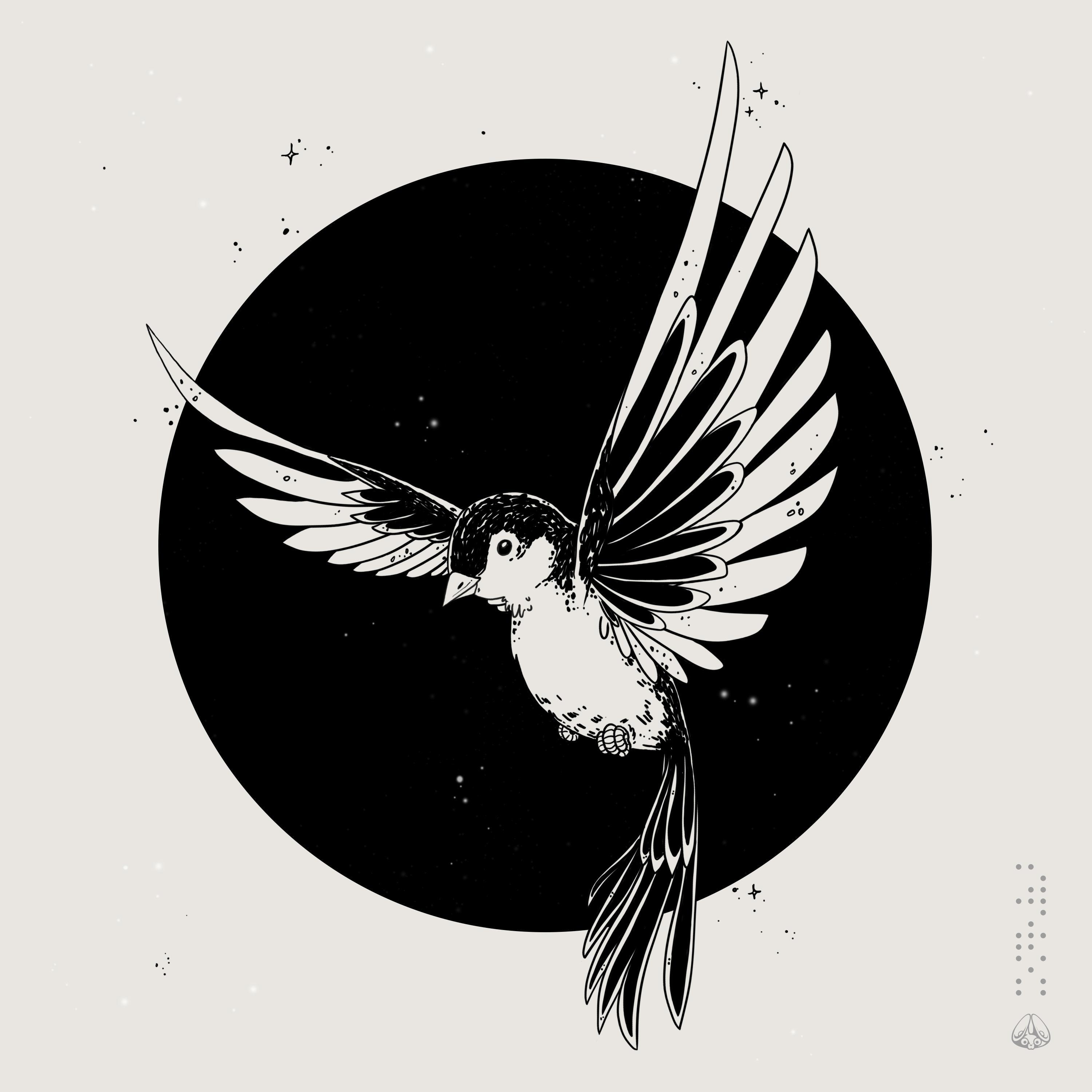 Lily ou - 歌手 - 网易云音乐