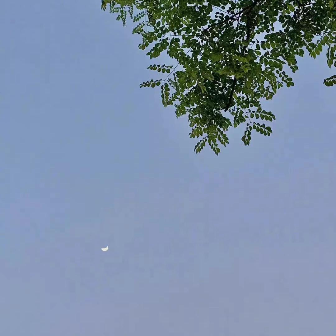 dsfsdfsd - 水晶大大 - 单曲 - 网易云音乐