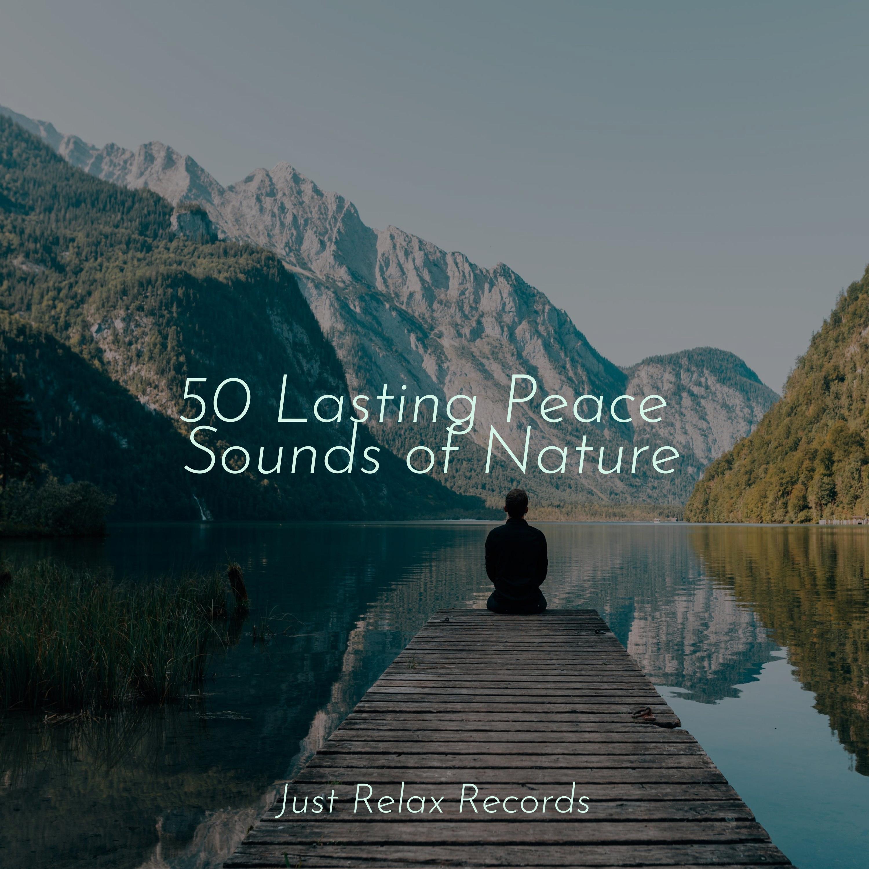 50 Lasting Peace Sounds of Nature - Meditación - 专辑 - 网易云音乐