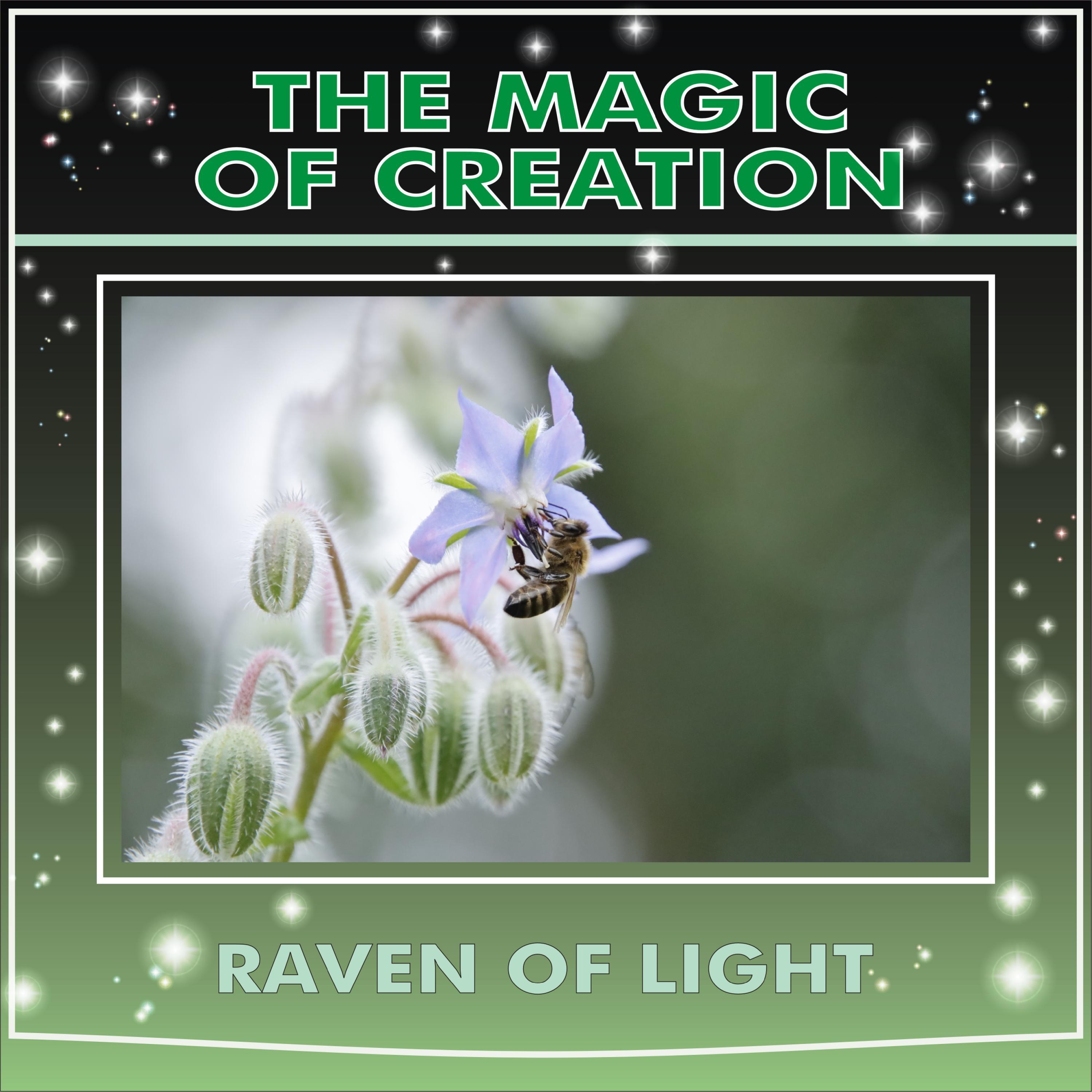 Beauty of Inner Peace - RAVEN OF LIGHT - 单曲 - 网易云音乐