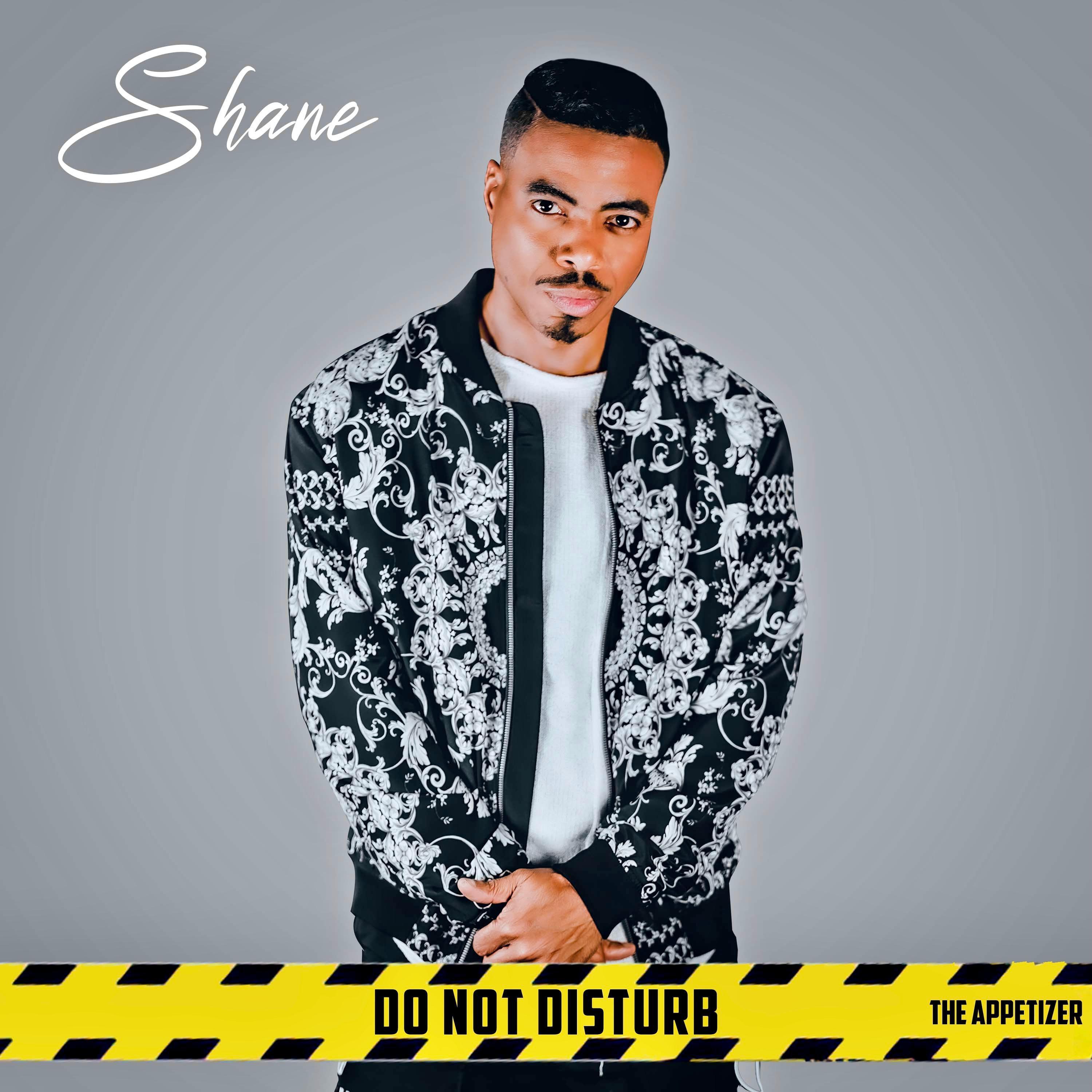 Something Special (feat. Money Zoe) - Shane/Money Zoe - 单曲 - 网易云音乐