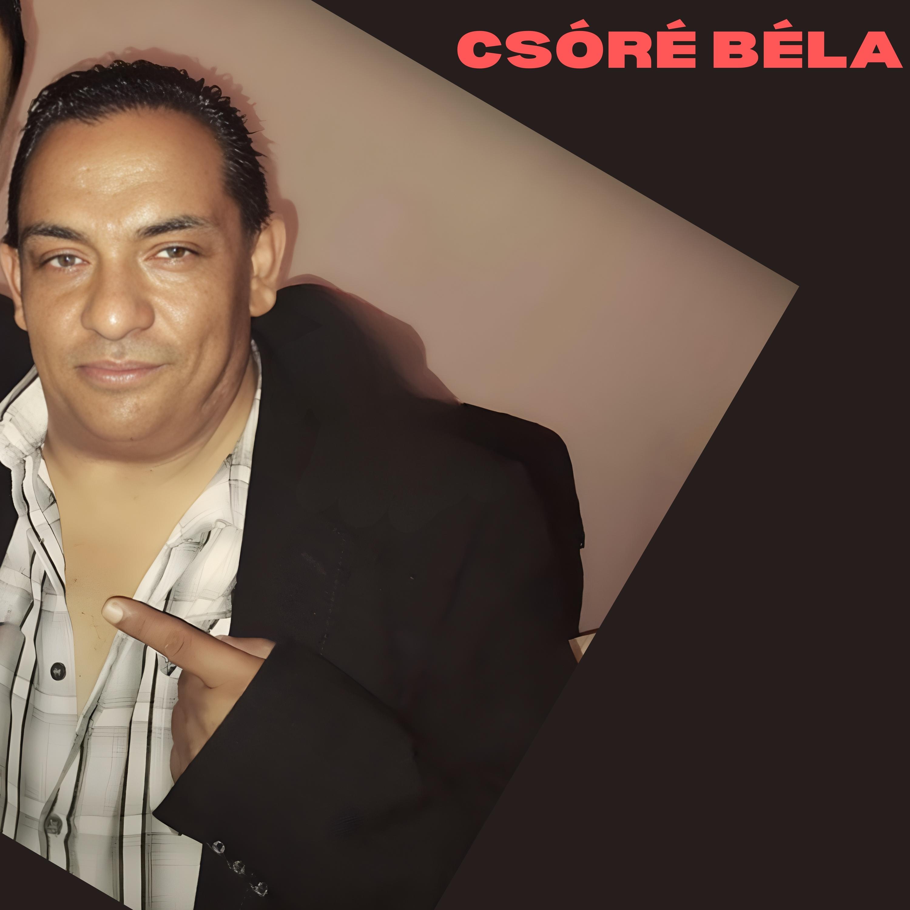 Ne rohanj állj meg - Csóré Béla - 单曲 - 网易云音乐