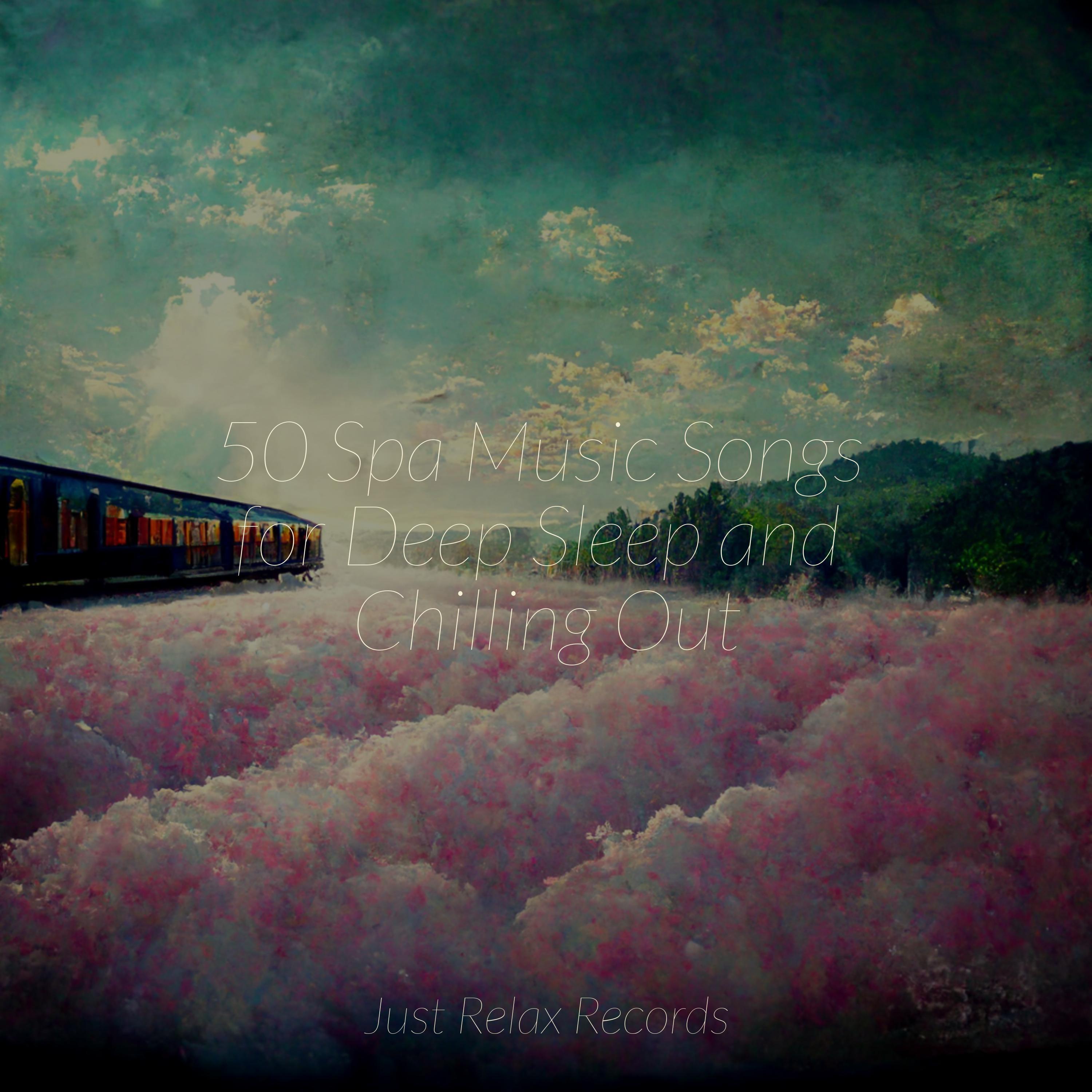 Misty Moonlight Melisma - Meditation Awareness/Música ambiental ...