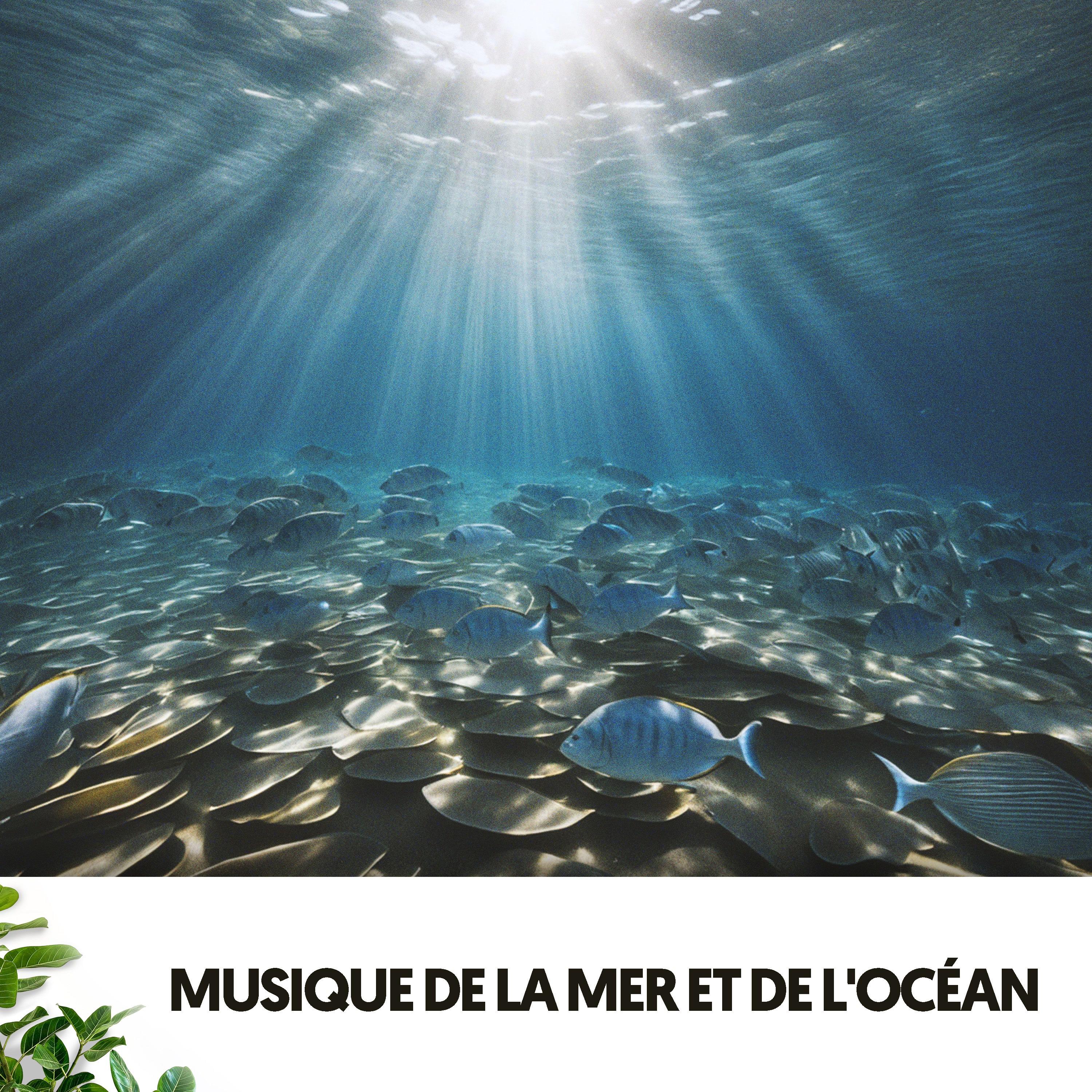 Musique de la Mer et de l'Océan : Mélodies des Profondeurs - Ocean ...