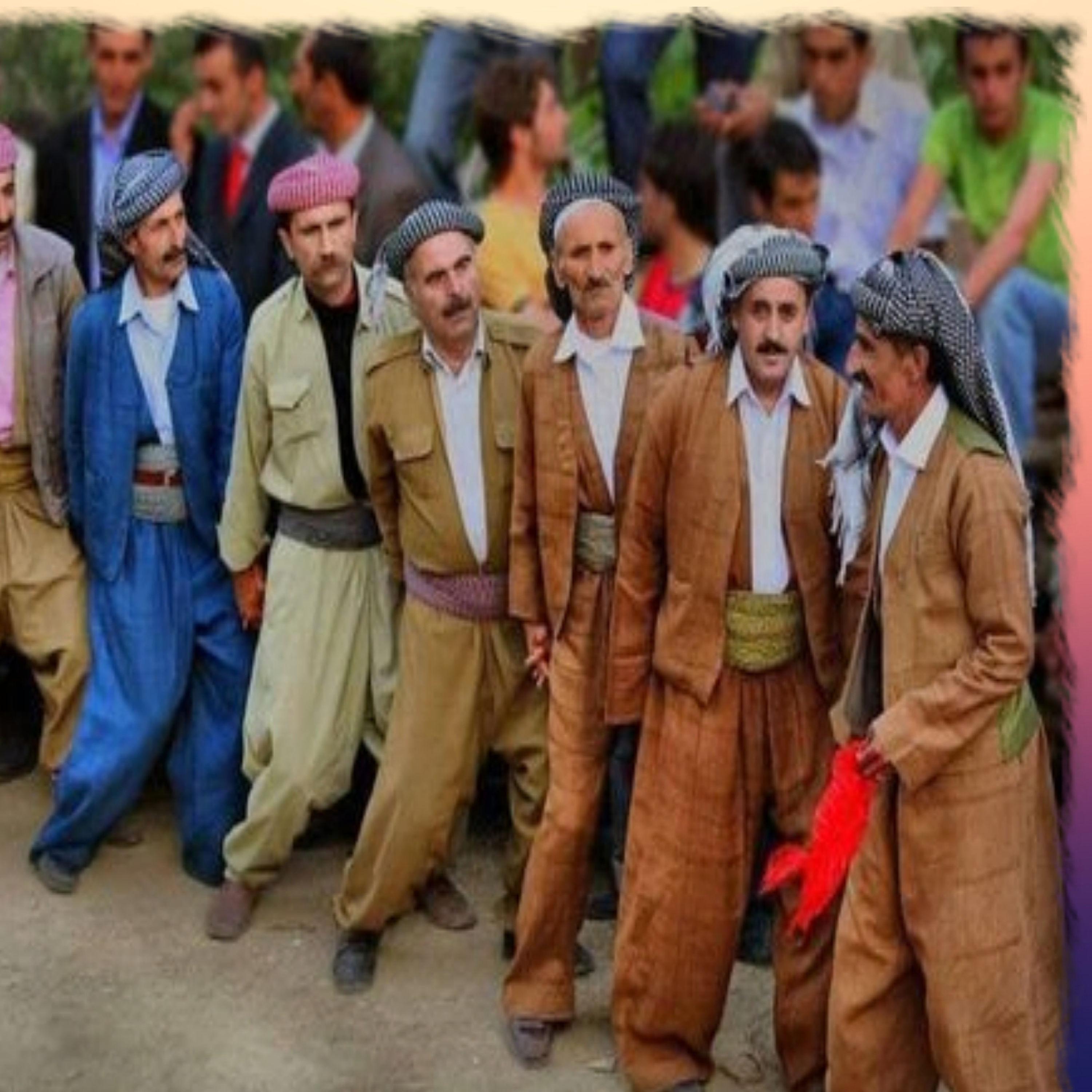 Şahî - Ahmad Zebari - 专辑 - 网易云音乐