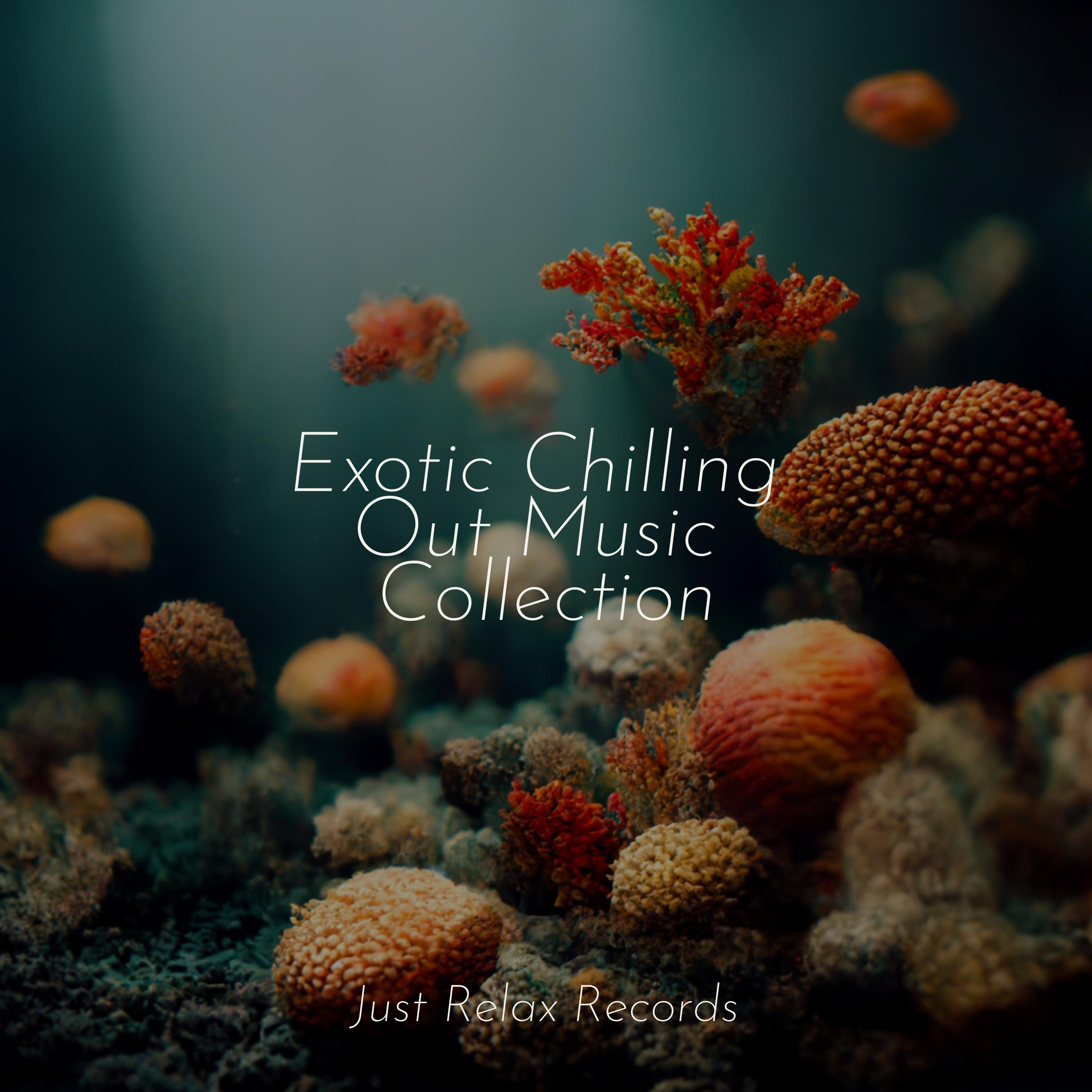 Undulating Ocean Waltz - Lounge Music Café/New Age/Lullabyes - 单曲 - 网易云音乐