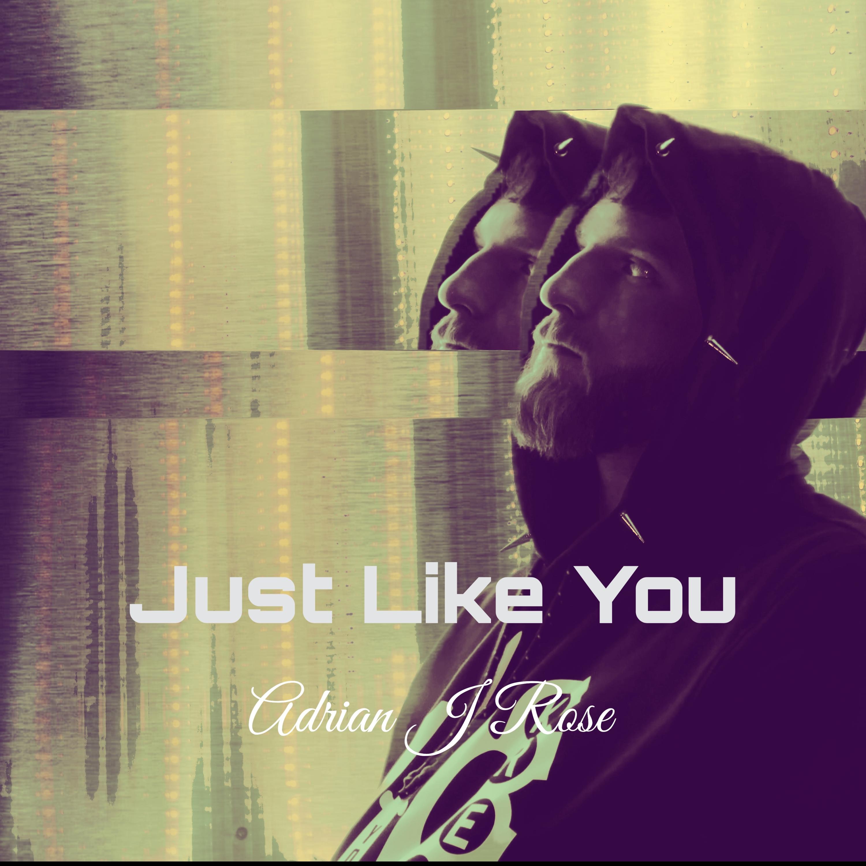 Just Like You - Adrian J Rose - 专辑 - 网易云音乐