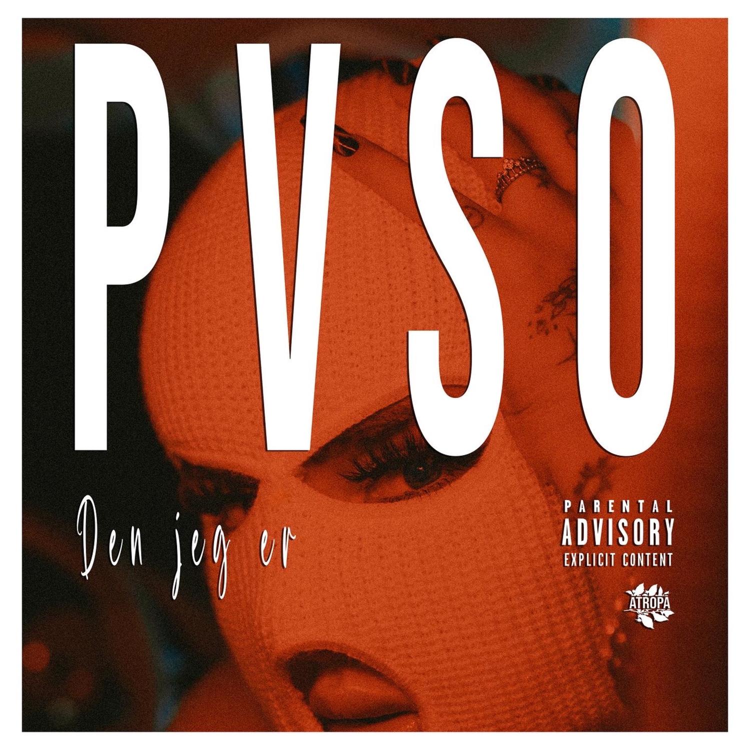 Den Jeg Er - PVSO - 专辑 - 网易云音乐