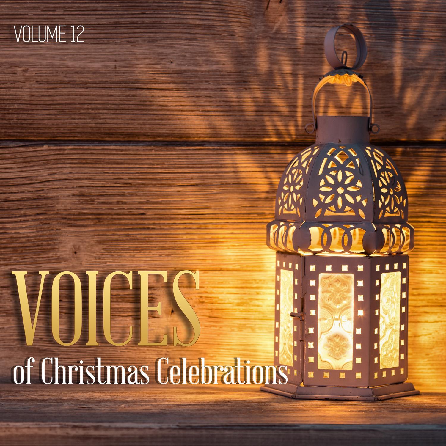 Voices of Christmas Celebrations, Vol. 12 - Various Artists - 专辑 - 网易云音乐