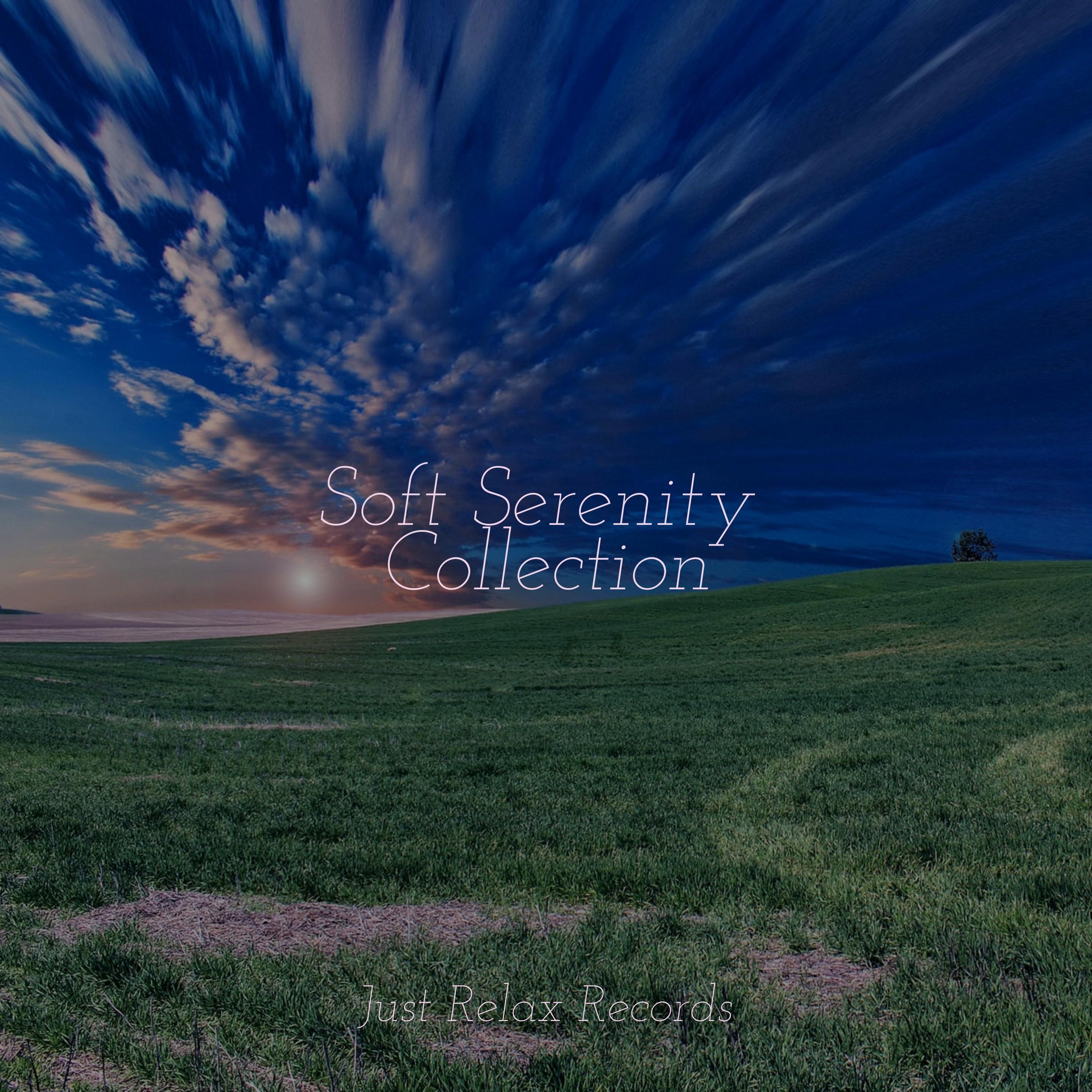 Enchanted Midnight Groove - Music For Absolute Sleep/Música Relajante ...