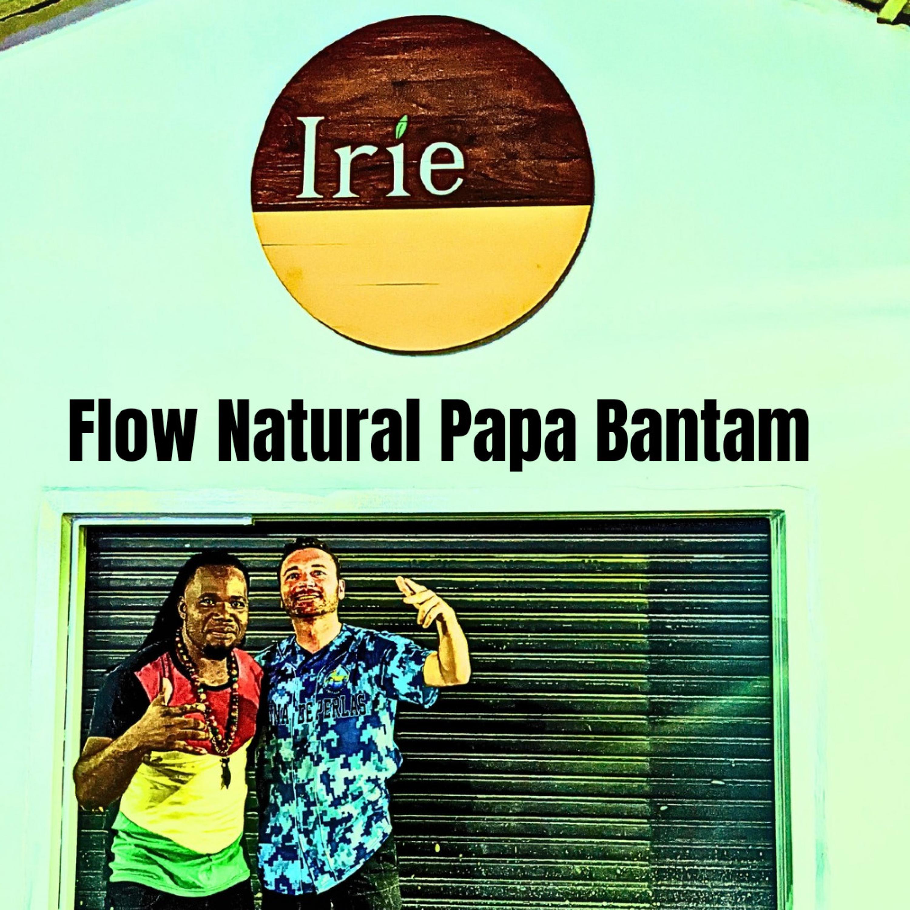 Flow Natural (feat. Papa Bantam) - Irie Kristoff - 专辑 - 网易云音乐