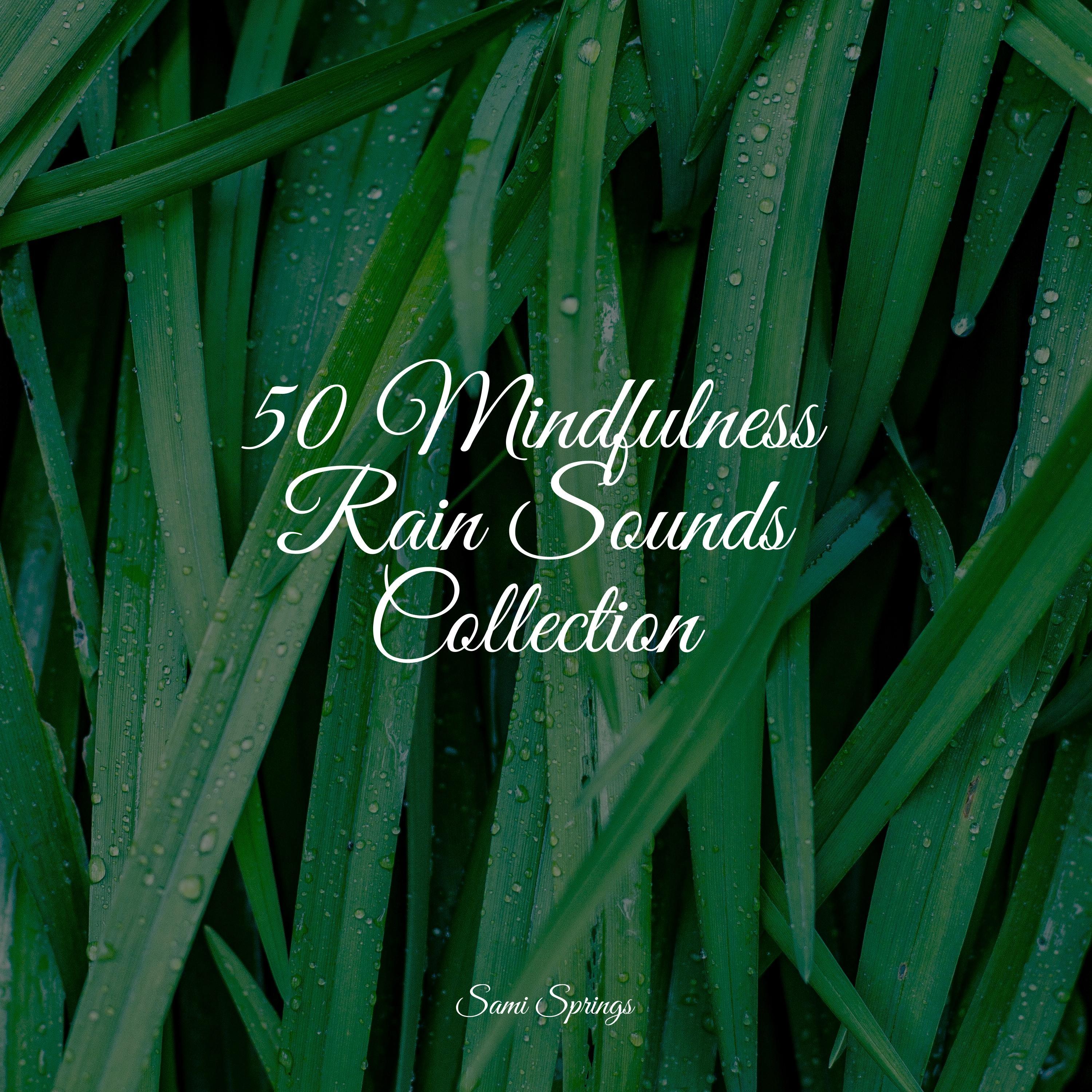 50 Mindfulness Rain Sounds Collection - Rain Storm Sample Library - 专辑 ...