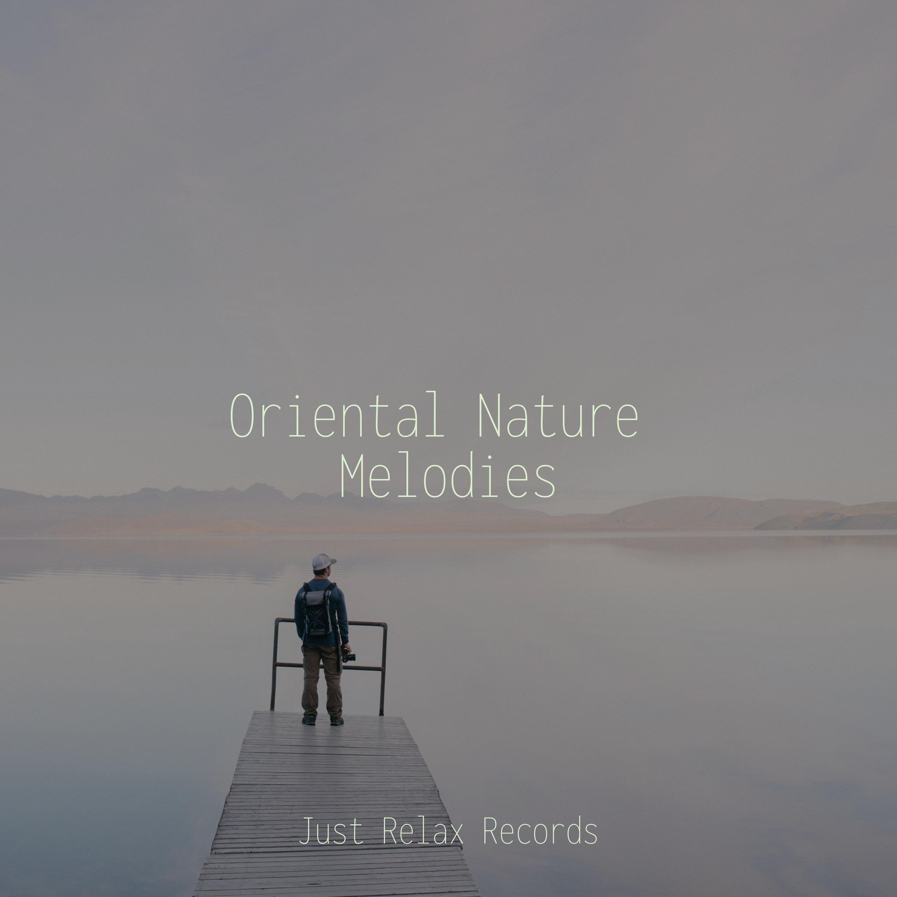 Wistful Daydream Lullabies - Musica romantica instrumental/Massage ...