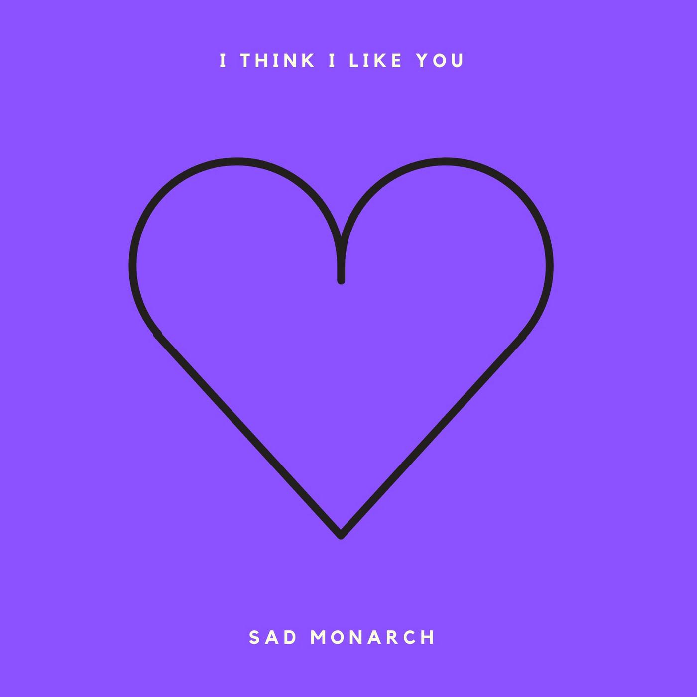 I Think I Like You - sad monarch - 专辑 - 网易云音乐