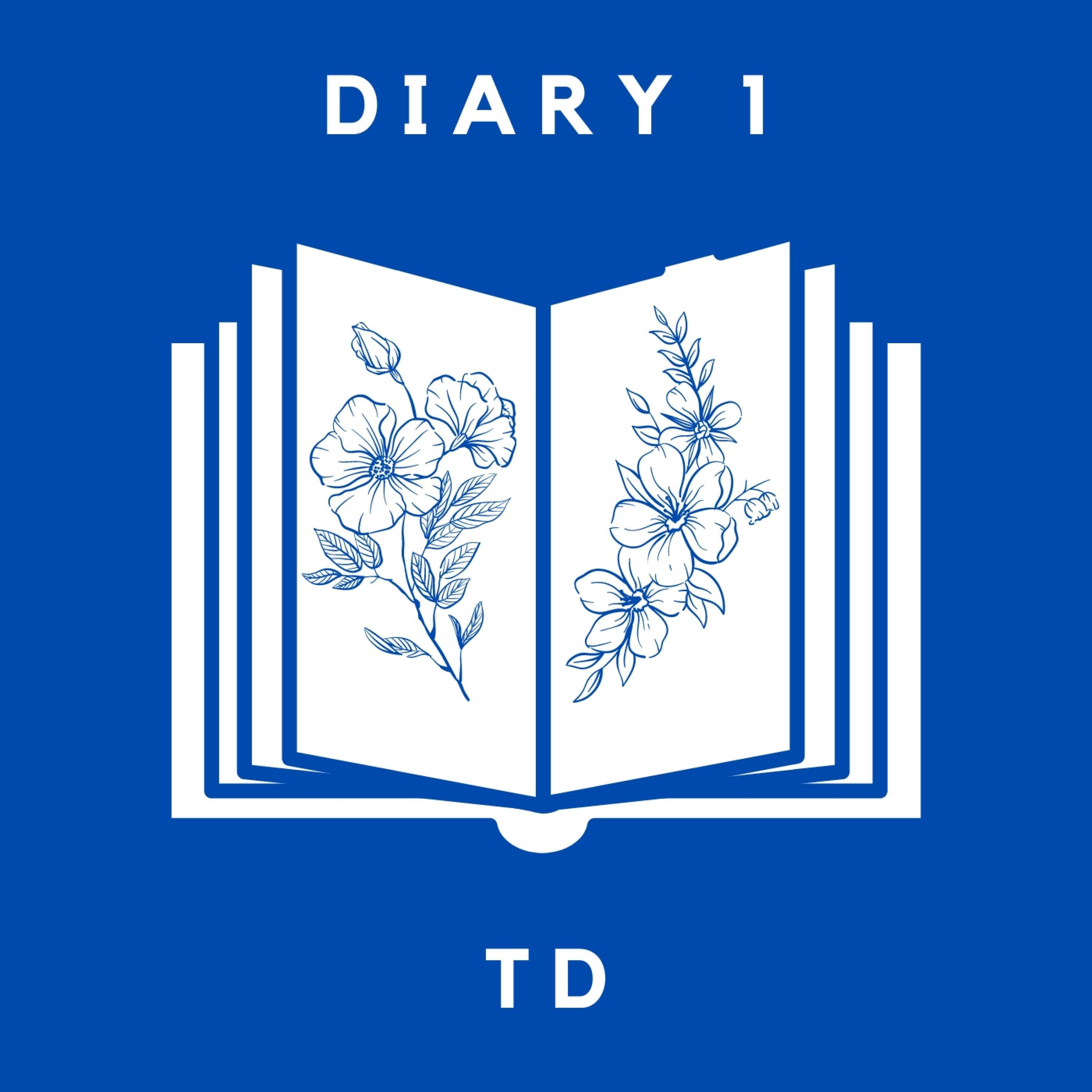 DIARY 1 - tdstudio - 专辑 - 网易云音乐