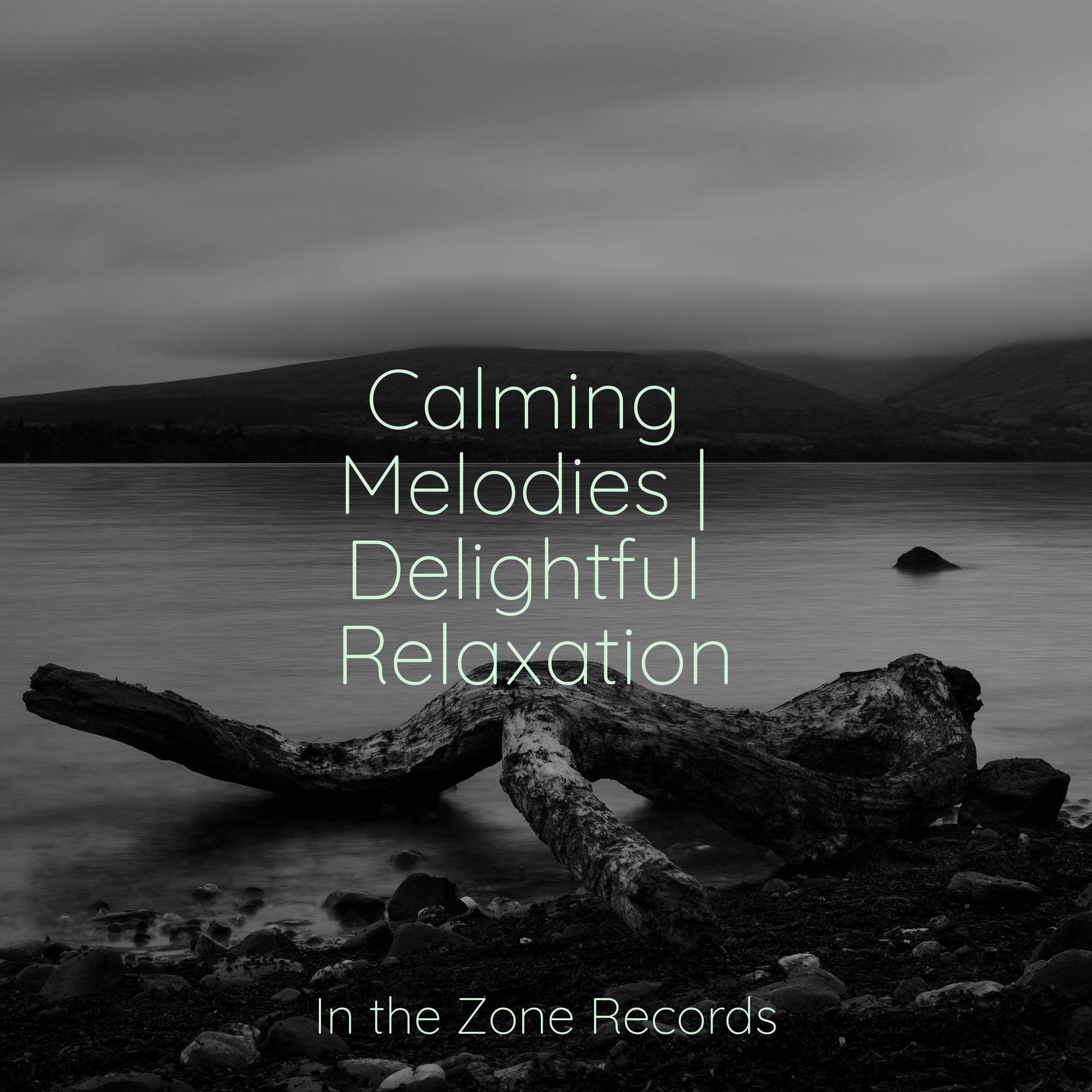 Calming Melodies | Delightful Relaxation - Calm Music for Studying - 专辑 ...