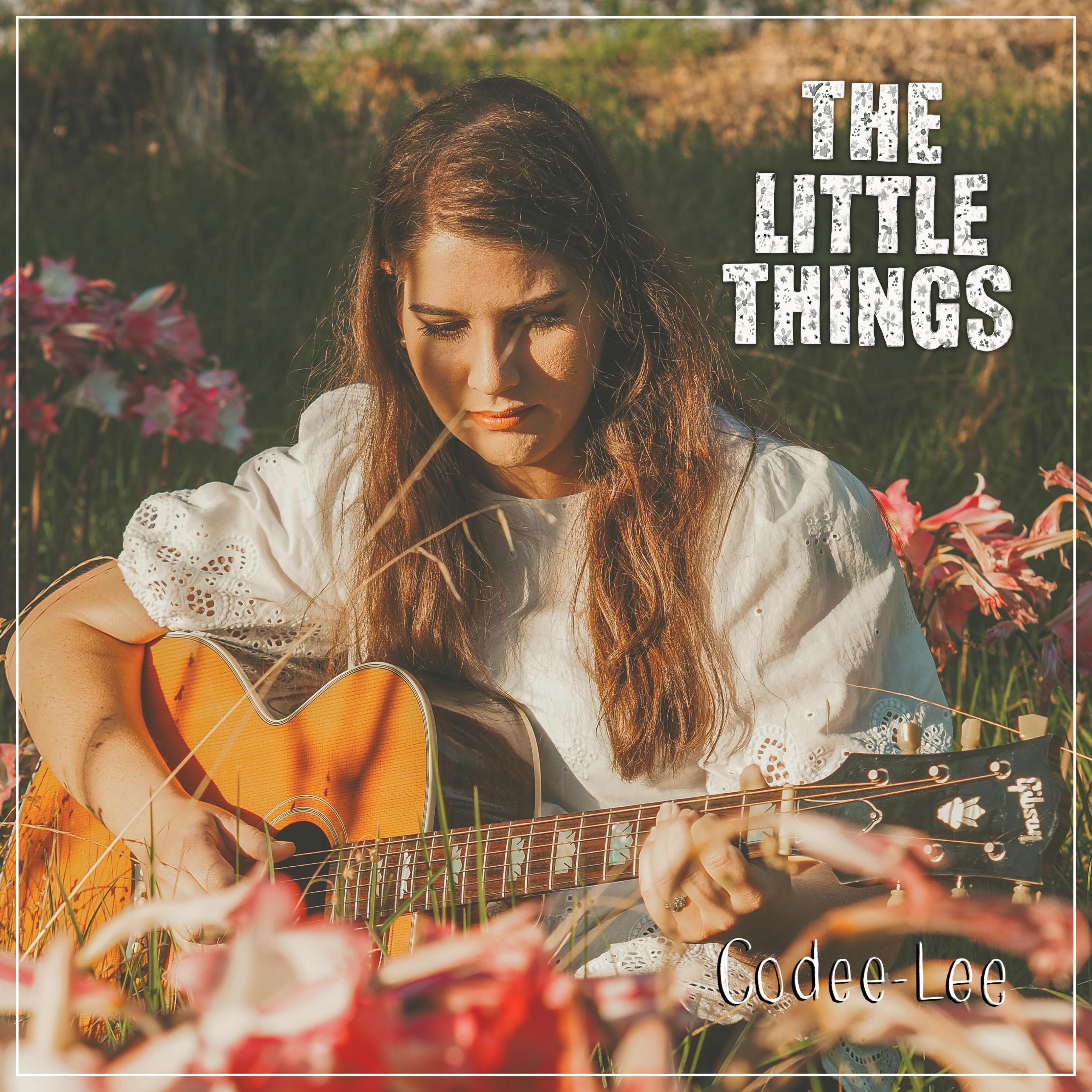 The Little Things - Codee-Lee - 专辑 - 网易云音乐