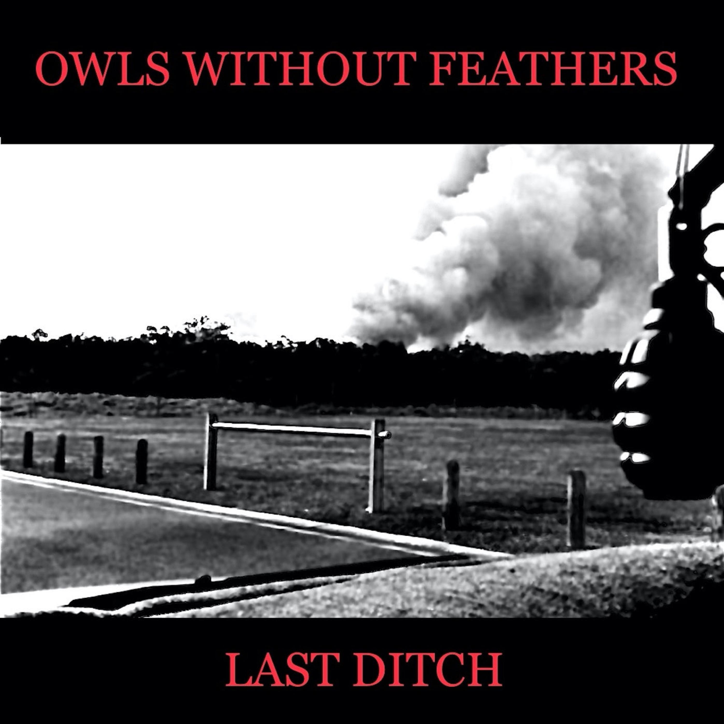 Web of Love - Owls Without Feathers - 单曲 - 网易云音乐