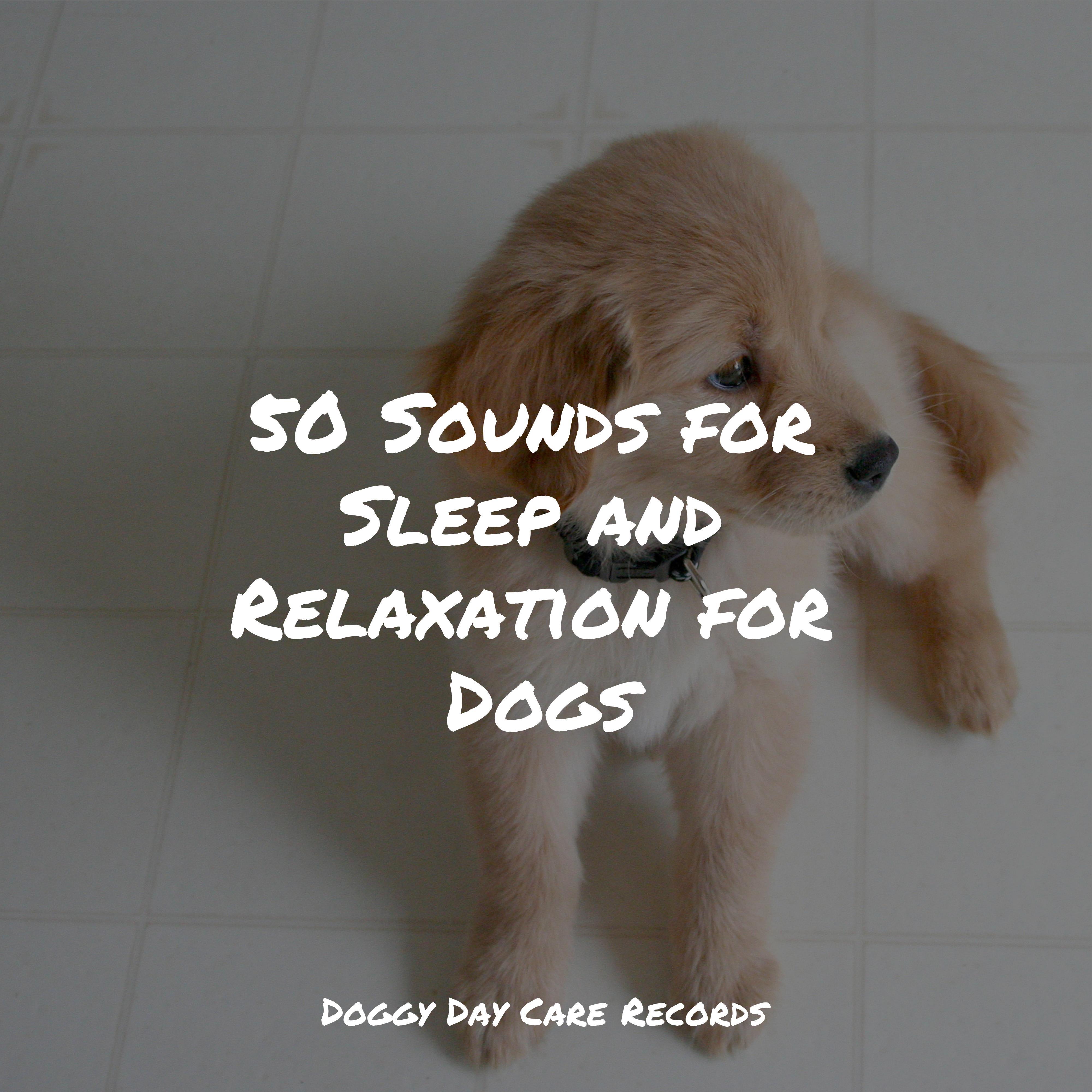 Deep Breathing - Official Pet Care Collection/Music For Dogs Peace ...