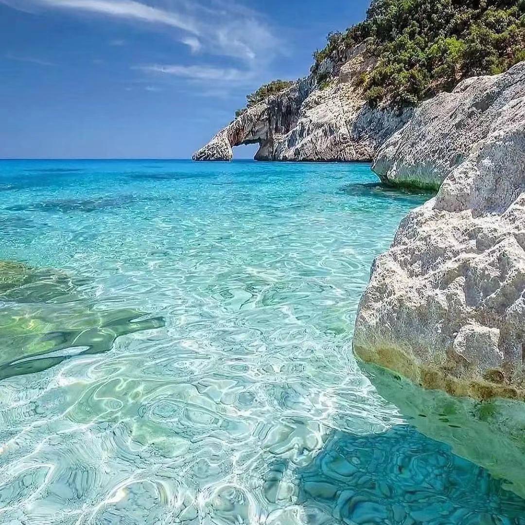 dfgfdg - 爱笑的猫 - 单曲 - 网易云音乐