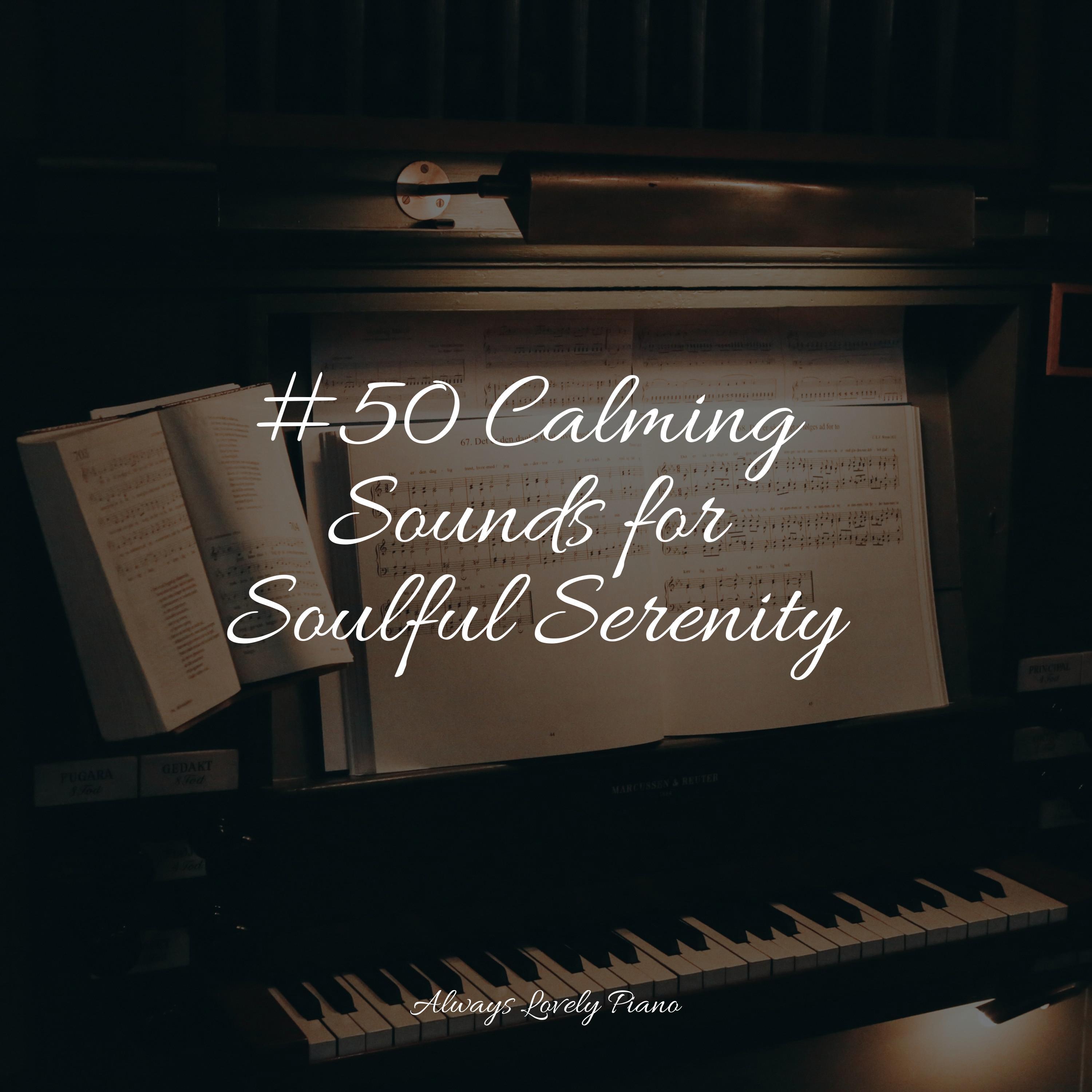 #50 Calming Sounds for Soulful Serenity - Piano Music for Work - 专辑 - 网易云音乐