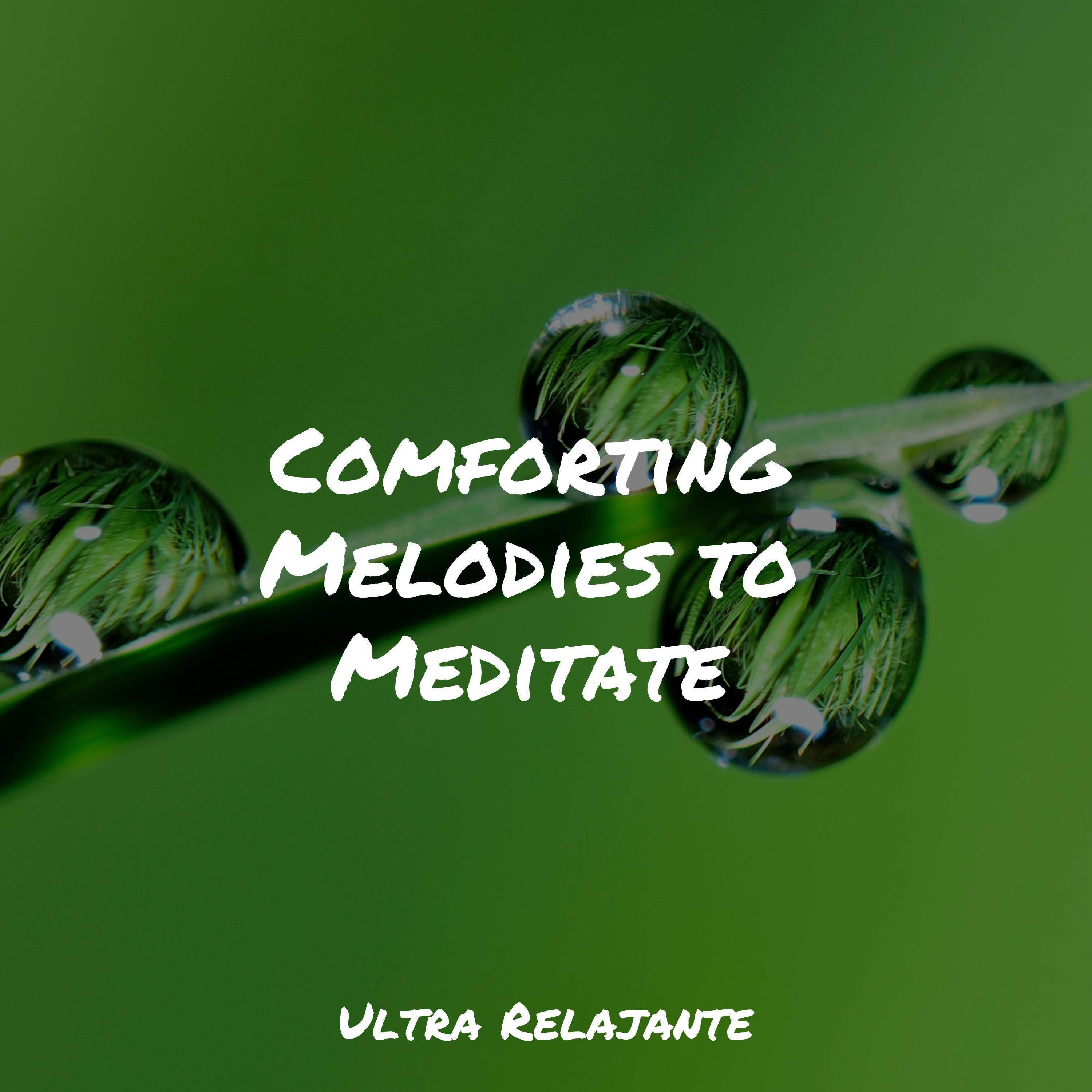 Nirvana - Yoga Namaste/Meditação Maestro/Spa & Spa - 单曲 - 网易云音乐