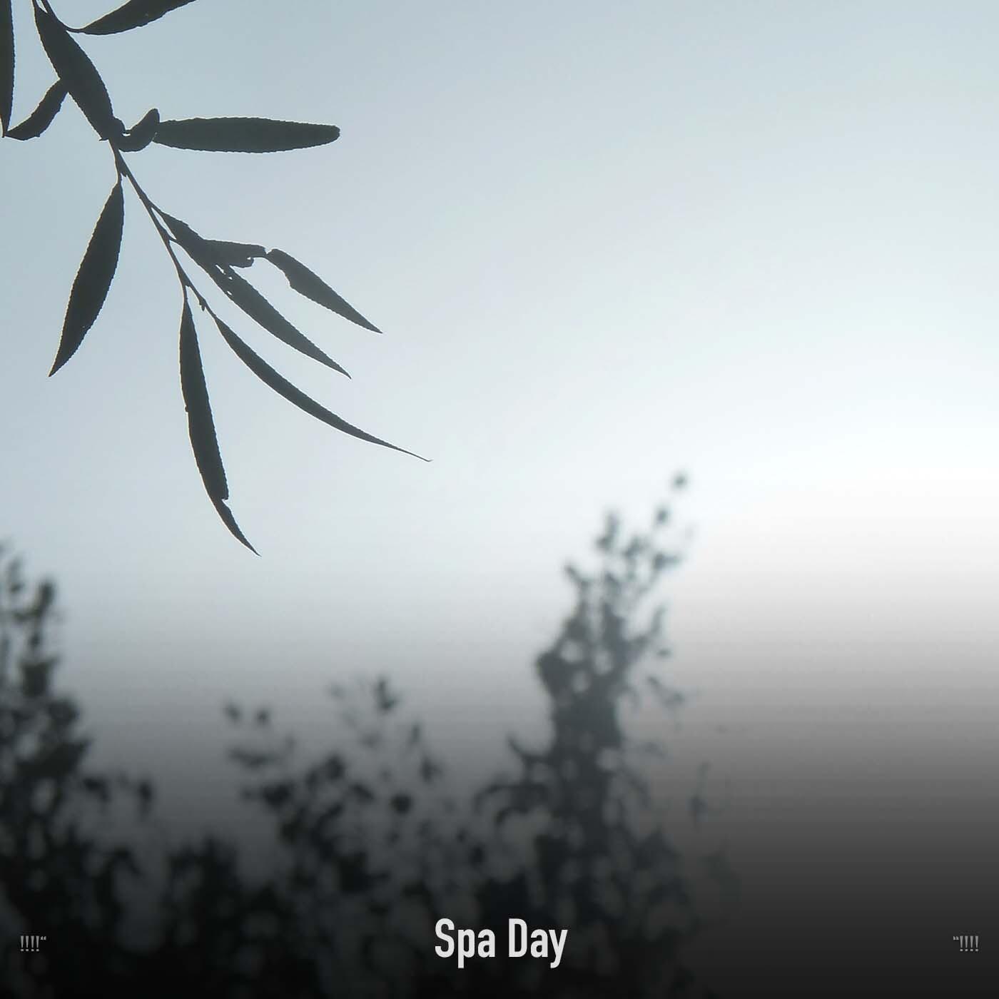 Through The Iris - Relaxing Music Therapy/Spa Music Relaxation/Relaxing ...