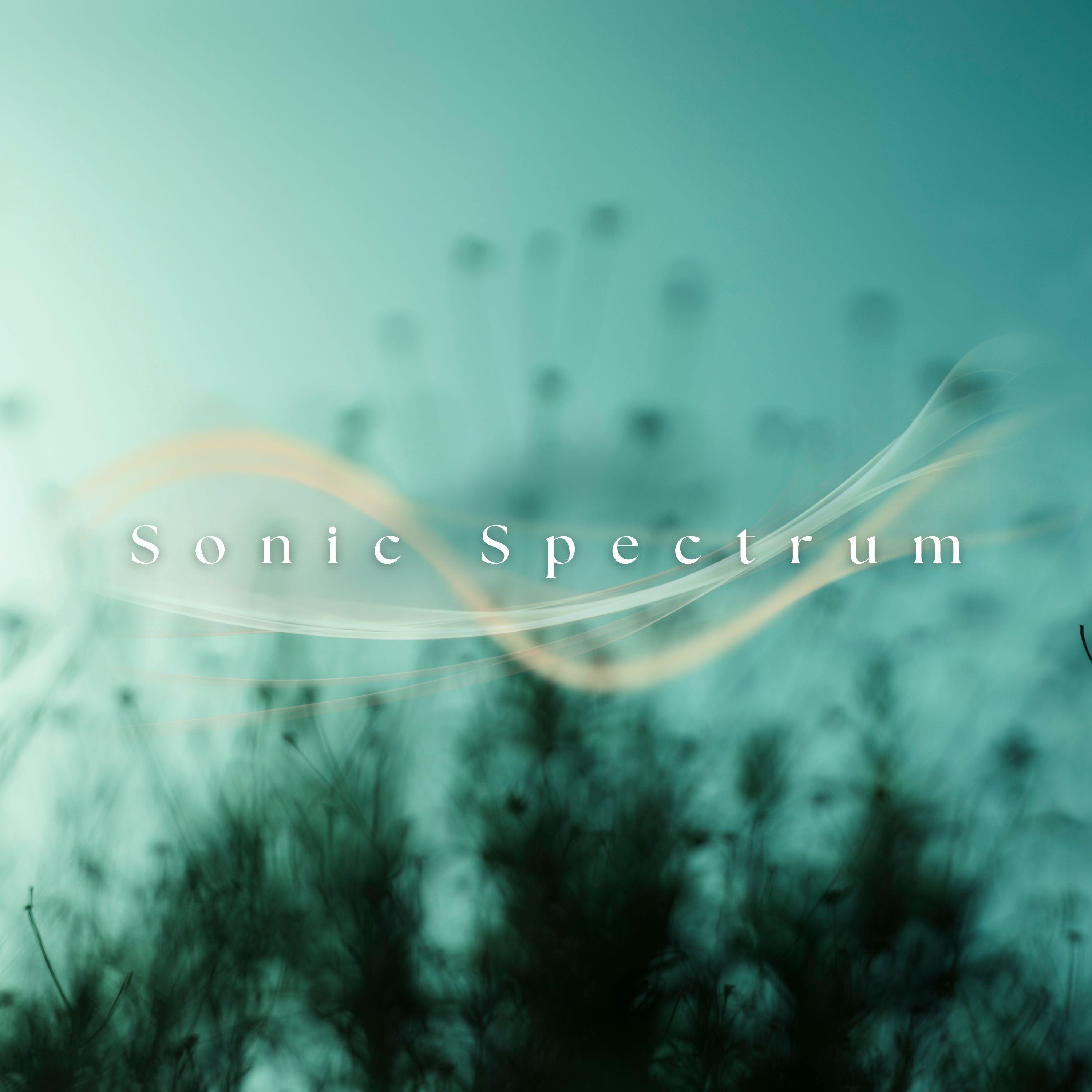 Sonic Spectrum (Exploring the Sound Universe) - - 专辑 - 网易云音乐