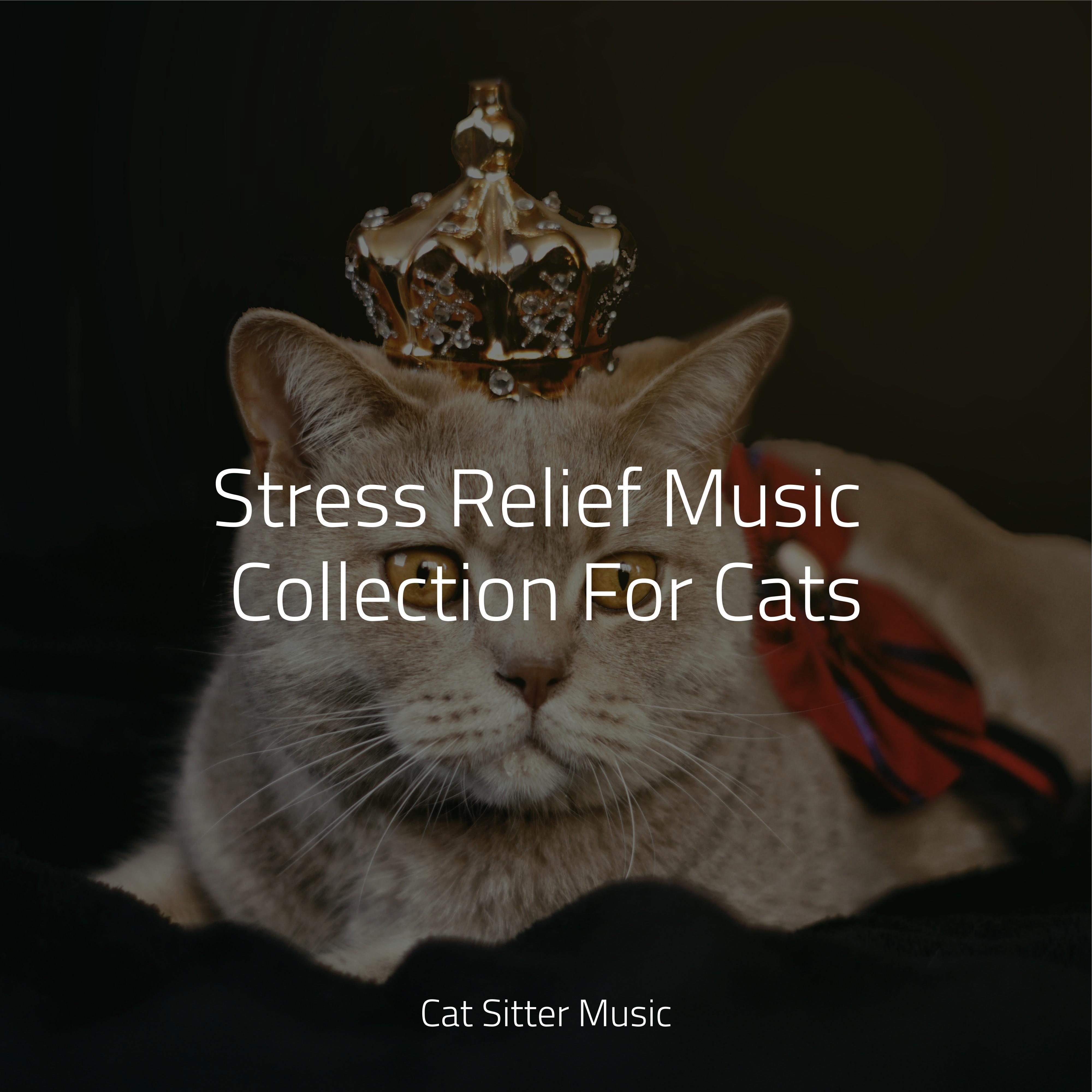 Seaside Air - Music for Relaxing Cats/Calm Music for Cats/Cat Music ...