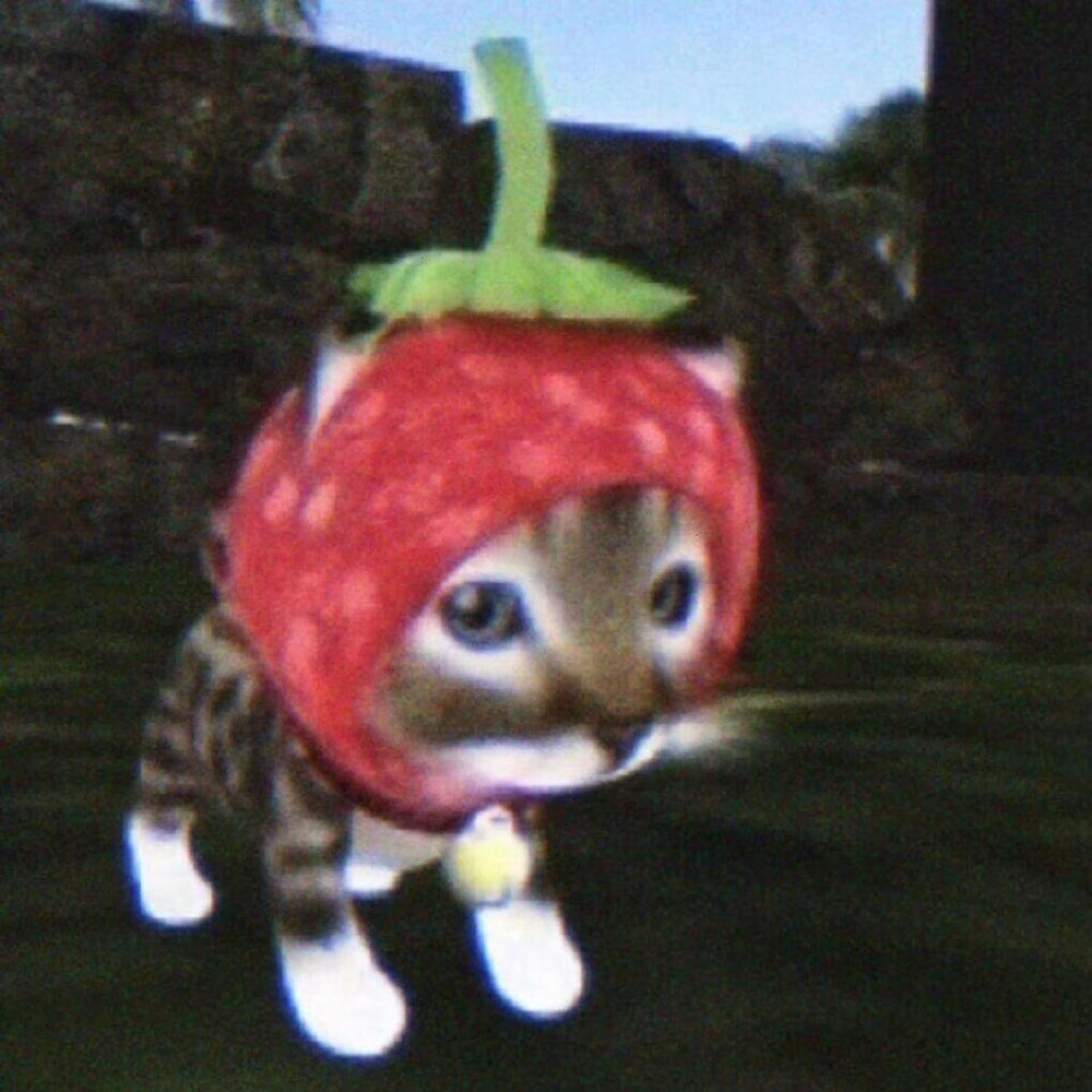 打火机（哈基米） - Mercury Ghost - 单曲 - 网易云音乐