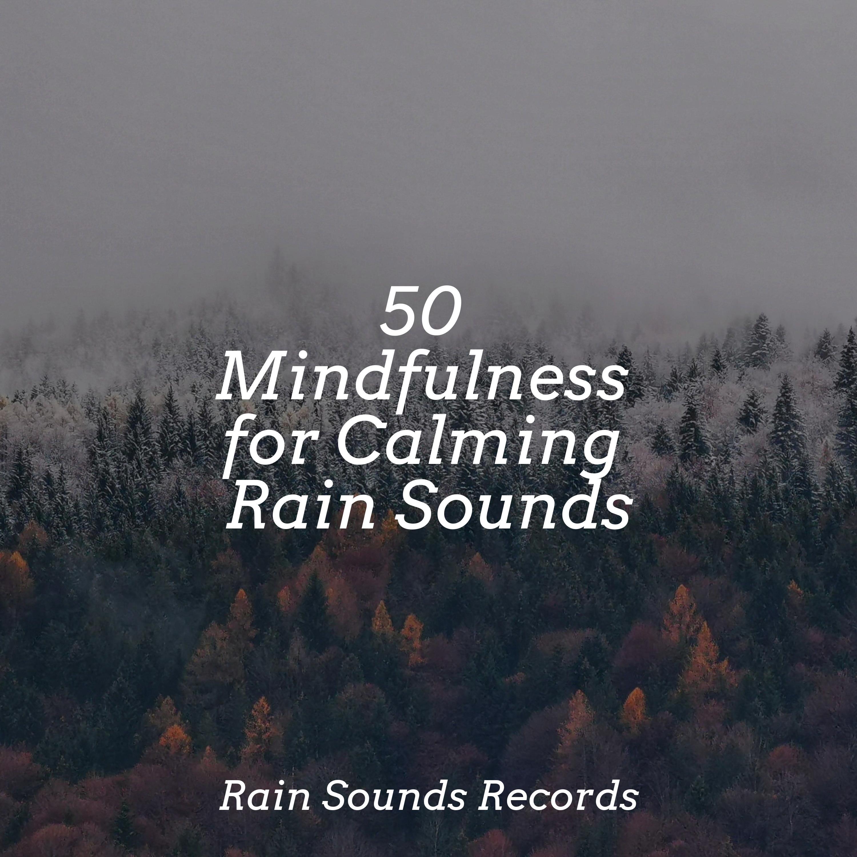 50 Mindfulness for Calming Rain Sounds - Rain for Deep Sleep - 专辑 - 网易云音乐
