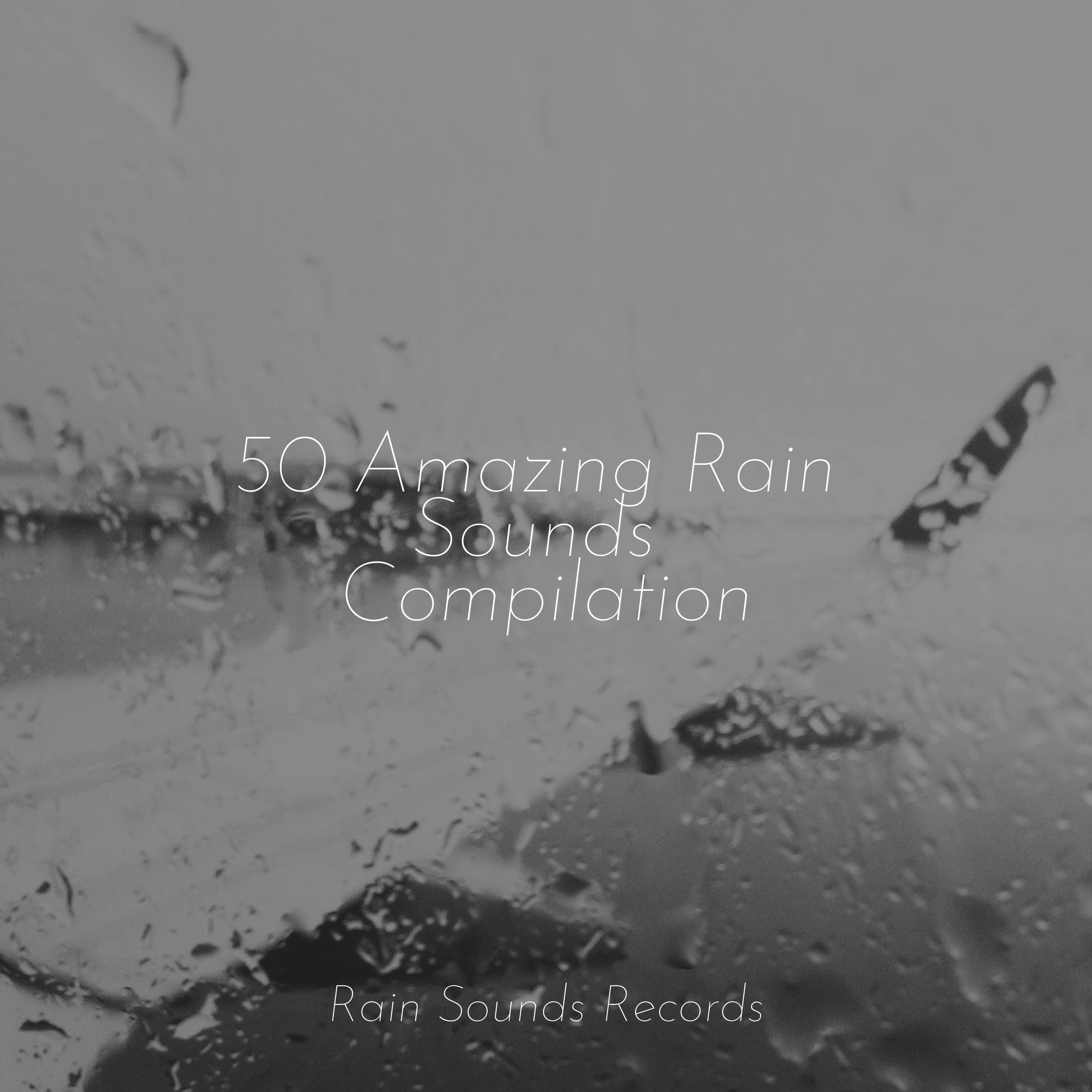 Powerful Surf - Pro Sound Effects Library/Meeresrauschen/Ocean Sounds ...