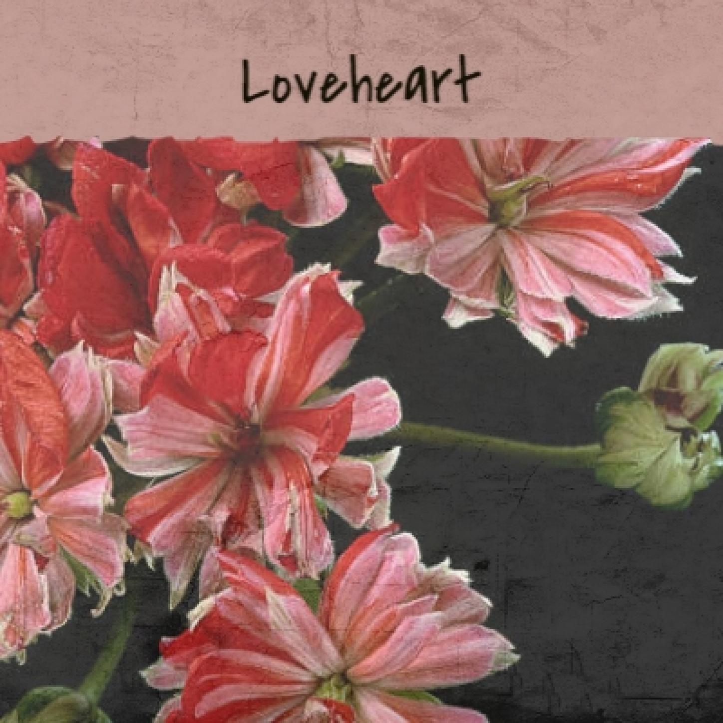 Loveheart - Anthony Lo Re - 单曲 - 网易云音乐