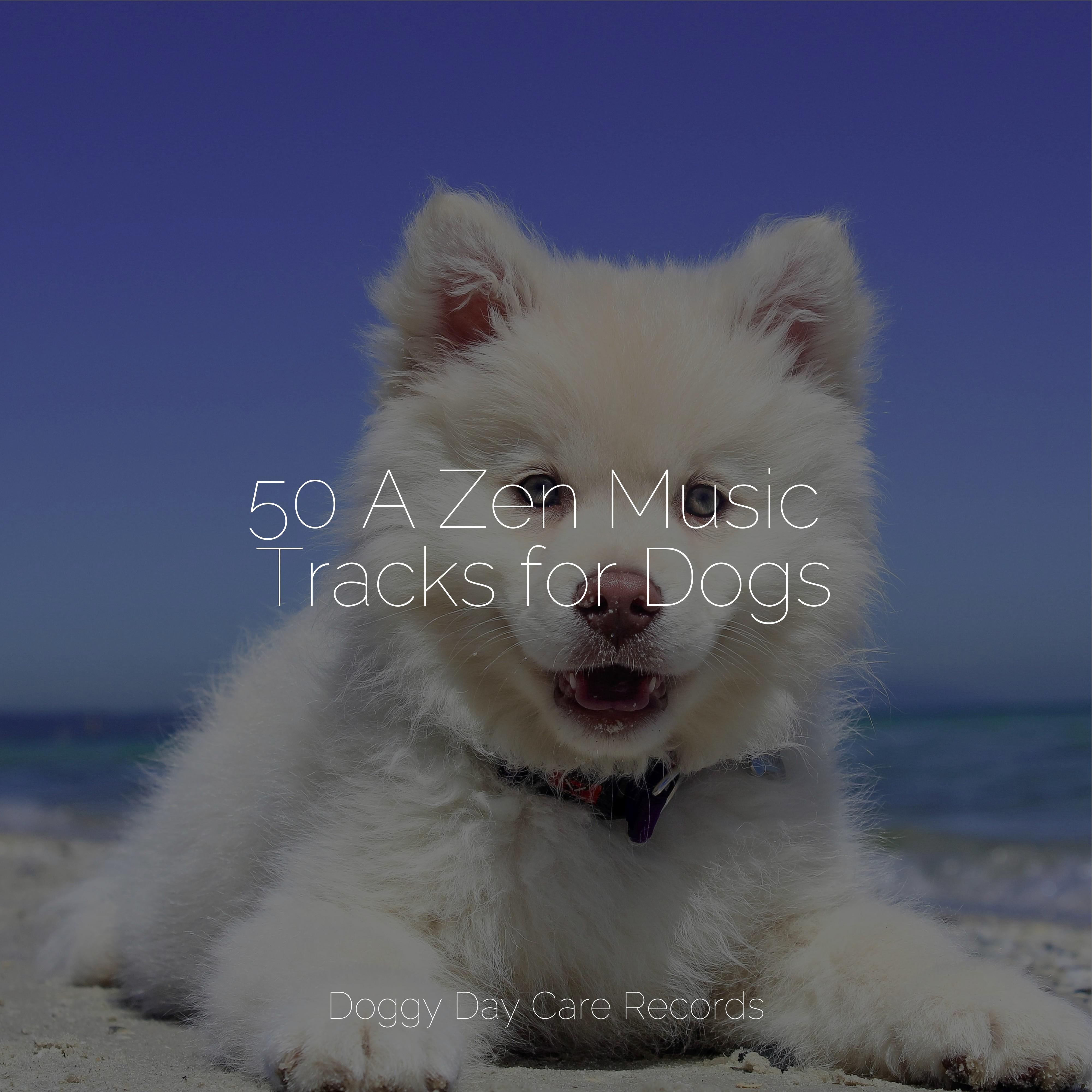 Spa Music - Music for Dogs Collective/Sleep Music For Dogs/Jazz Music ...