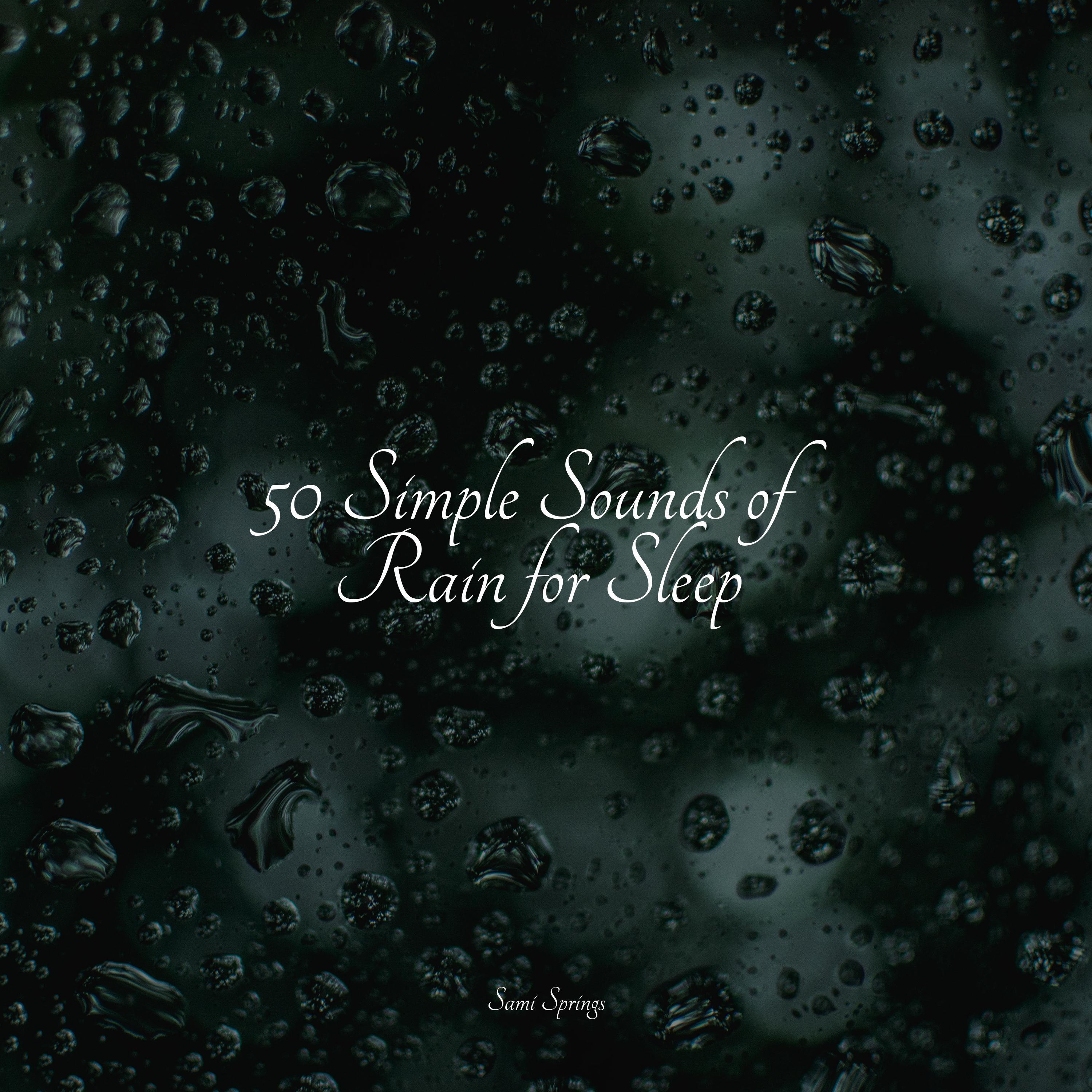 50 Simple Sounds of Rain for Sleep - Musica de Relajación Academy - 专辑 ...