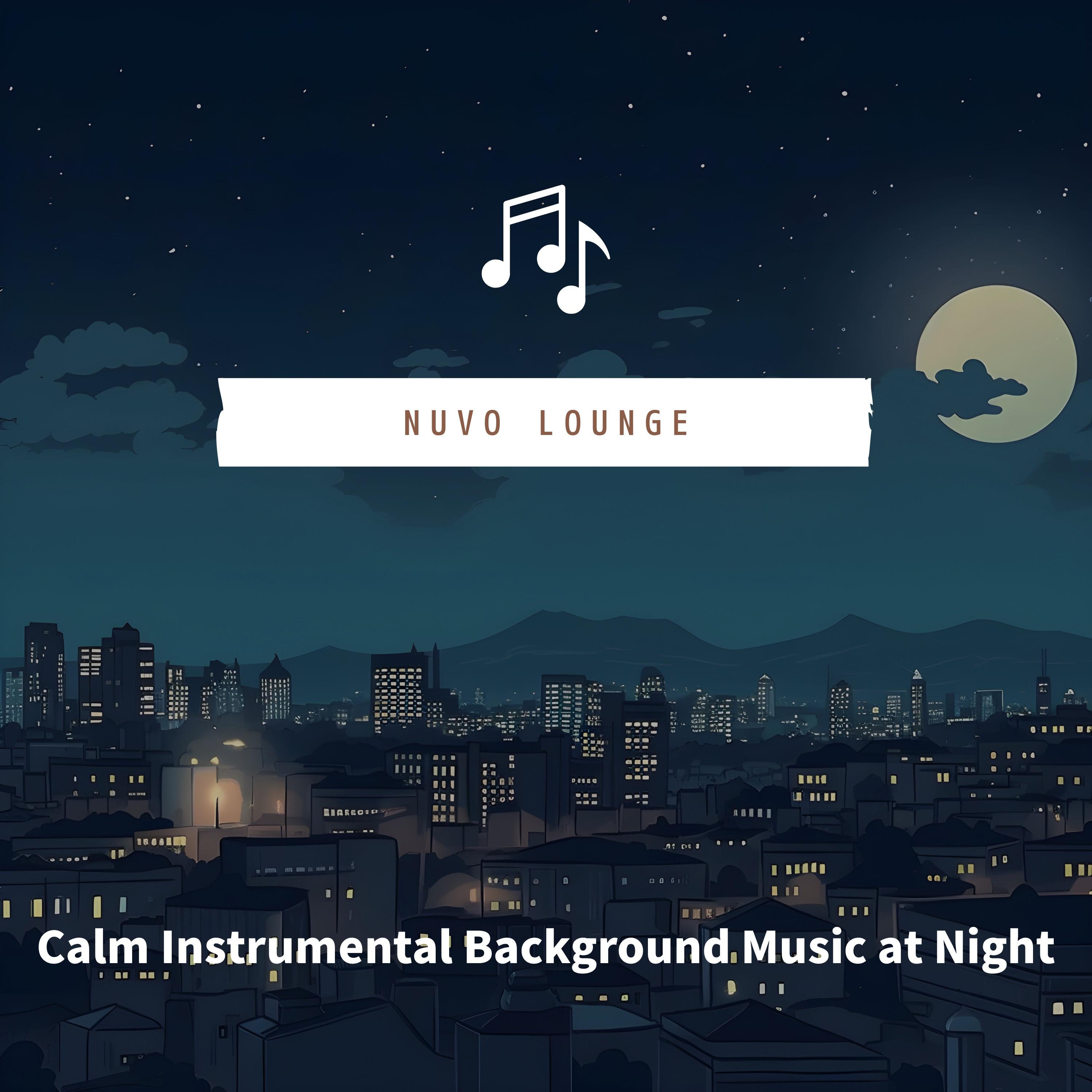 Calm Instrumental Background Music at Night - Nuvo Lounge - 专辑 - 网易云音乐