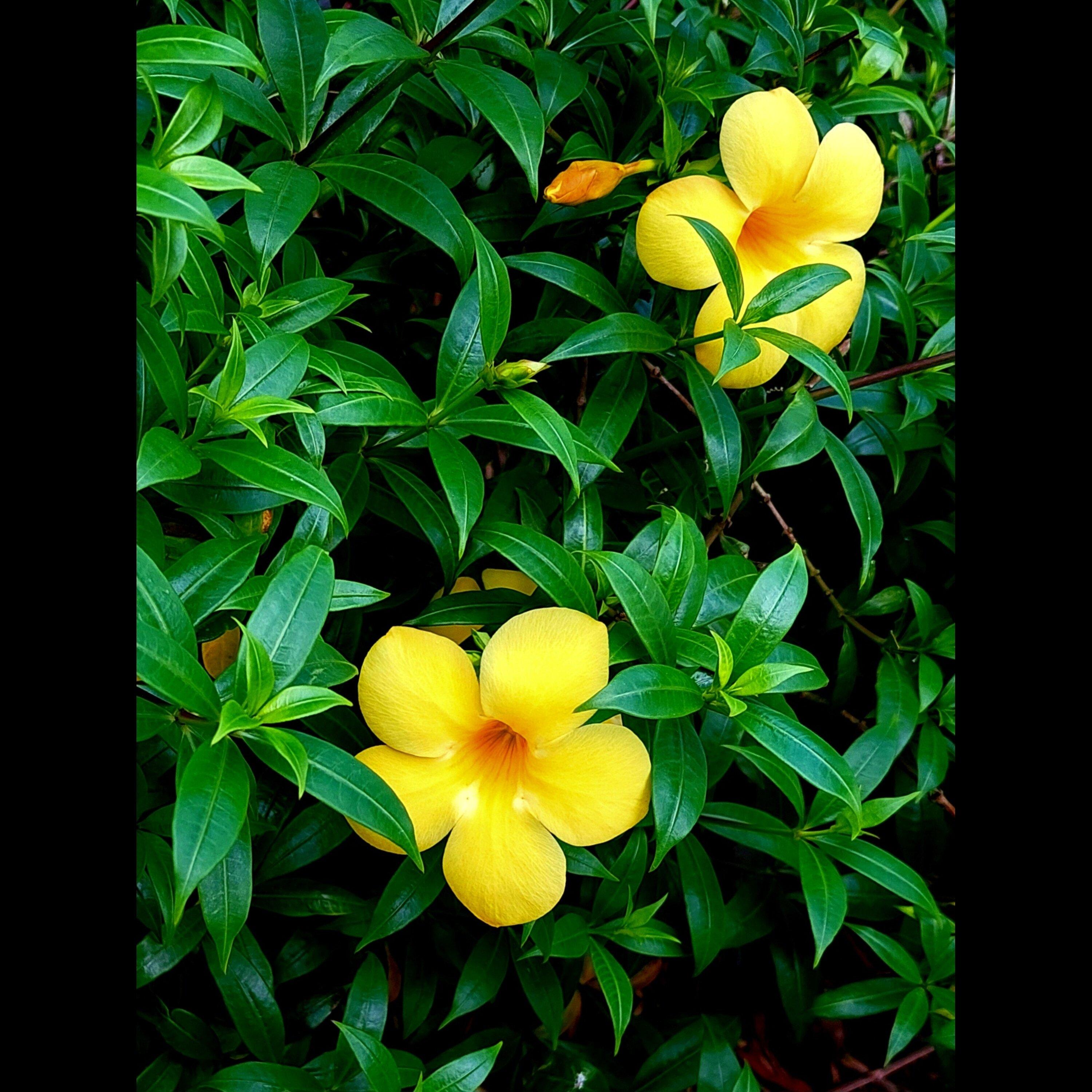 Tahanan Sa Huli - Mirari - 专辑 - 网易云音乐