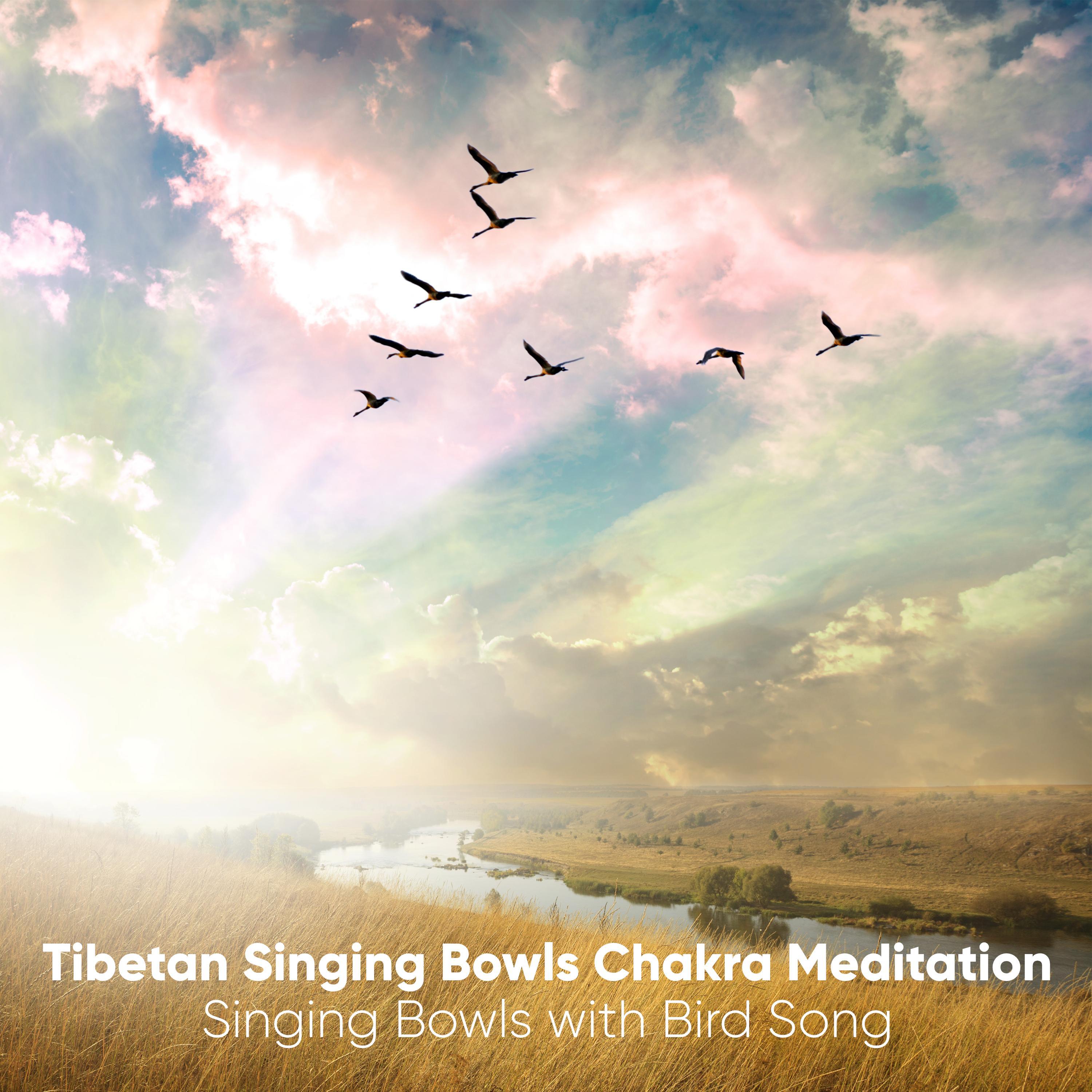 Solar Plexus and Throat Chakra E and G with Singing Birds - Tibetan ...
