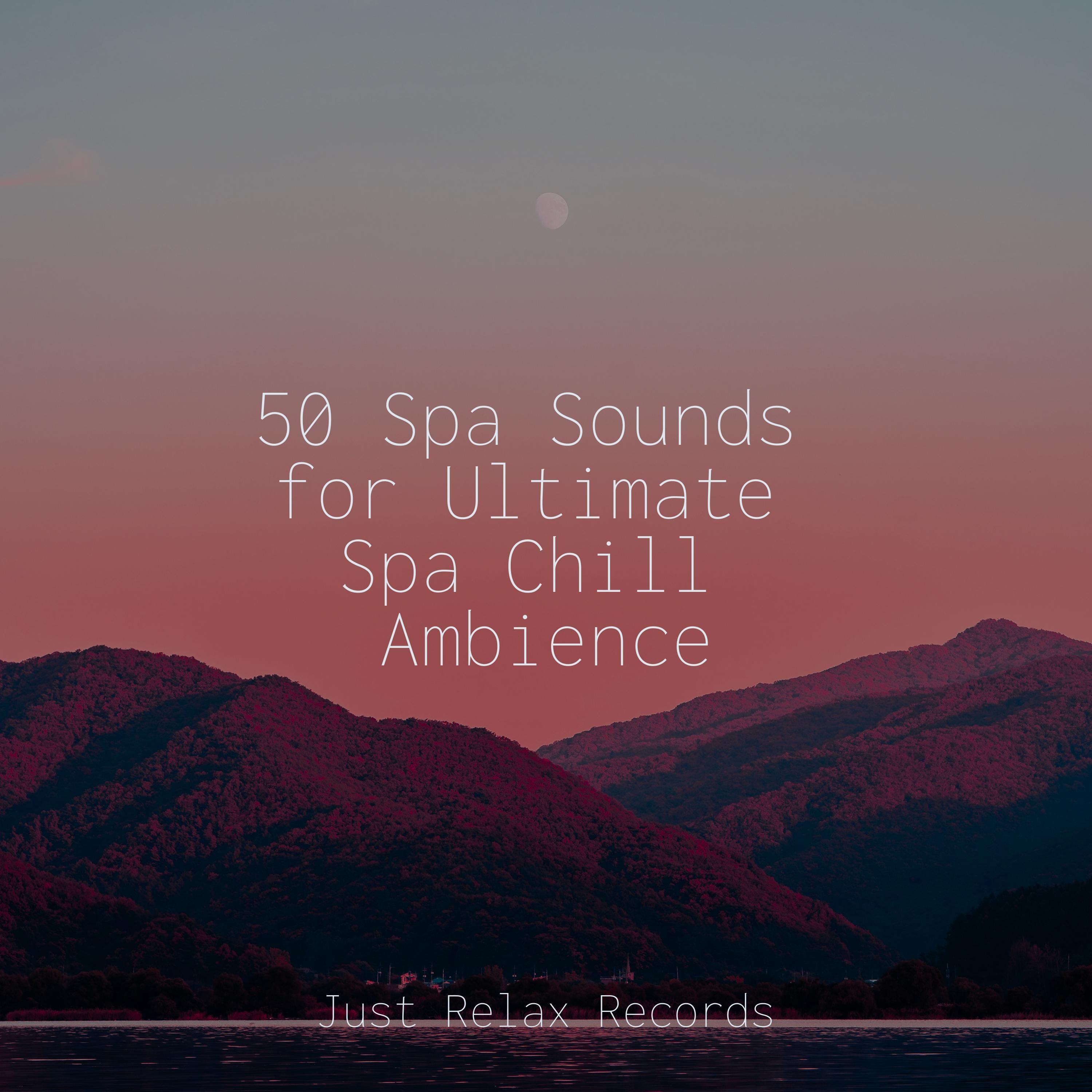 50 Spa Sounds for Ultimate Spa Chill Ambience - Natural Sounds - 专辑 - 网易云音乐