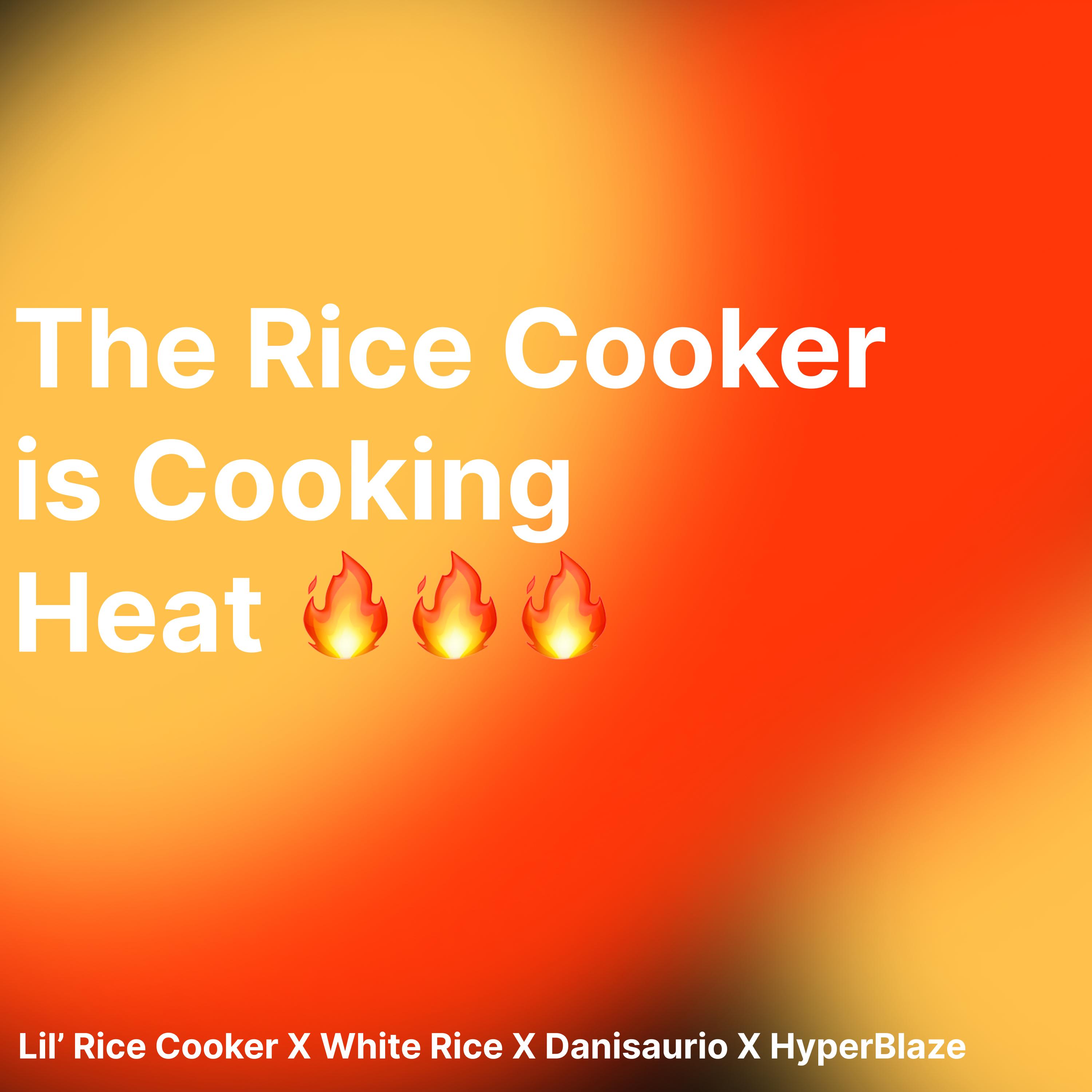 The Rice Cooker Is Cooking Heat - Lil Rice Cooker/White Rice/Hyperblaze ...