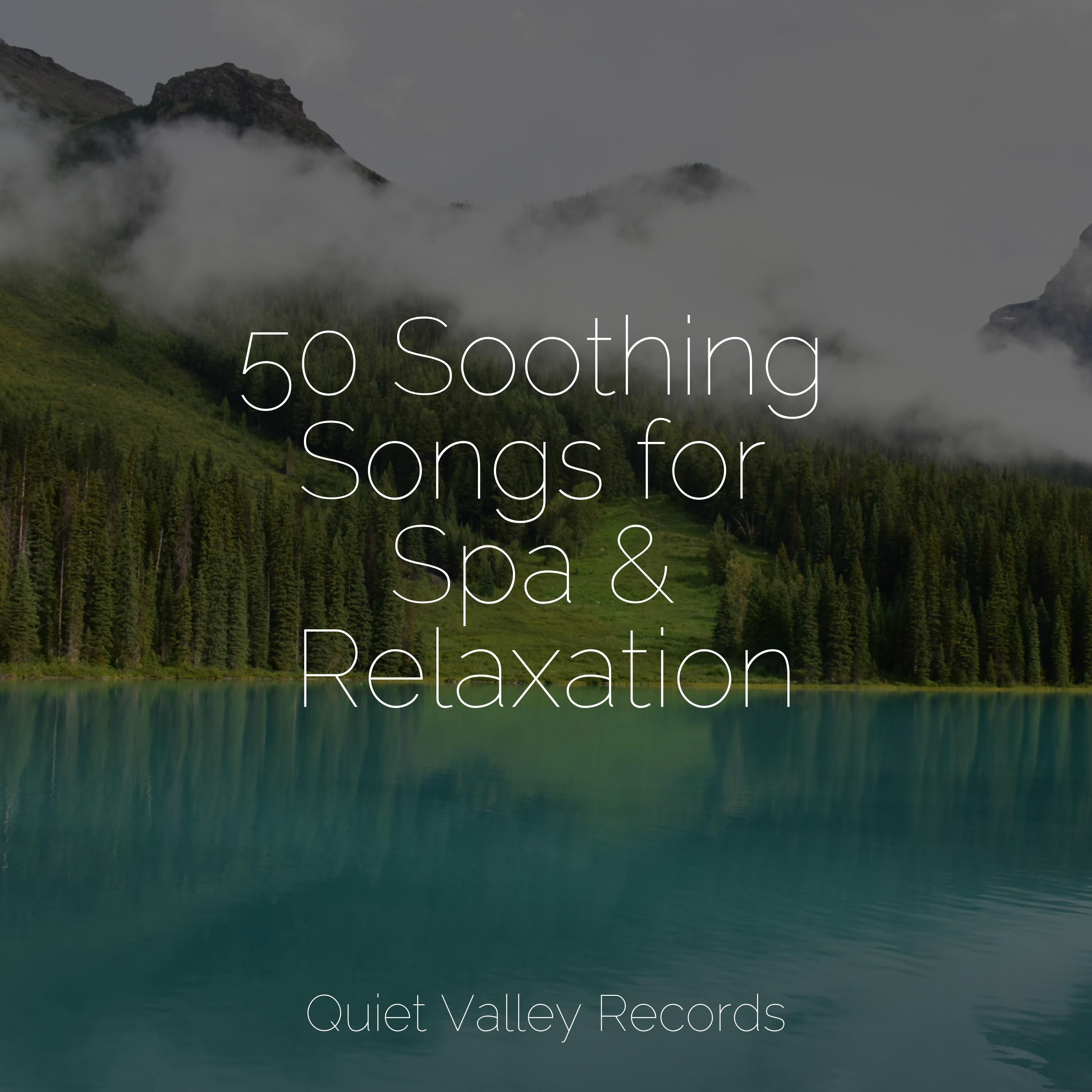 50 Soothing Songs for Spa & Relaxation - The Relaxation Principle - 专辑 ...