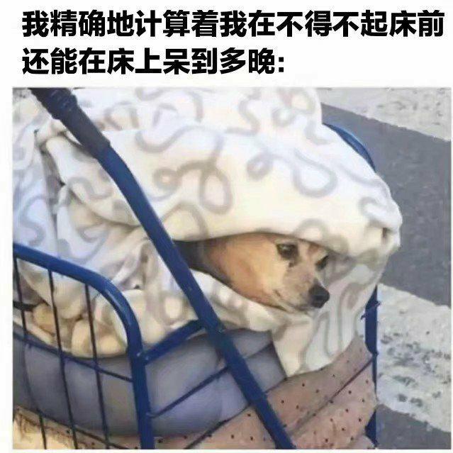 everything must go「meme」 - 你是来找meme的吧！！！！（含梗图） - 电台节目 - 网易云音乐