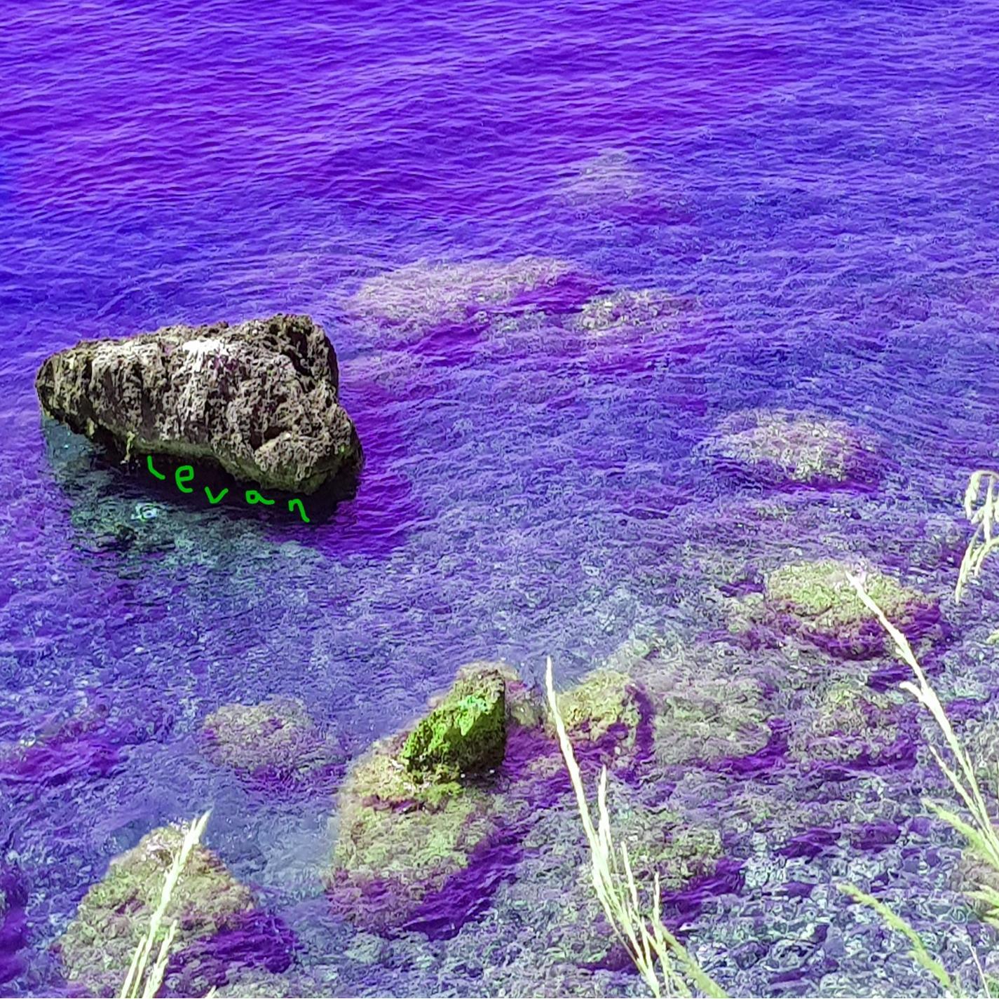 levan - Levan - 单曲 - 网易云音乐