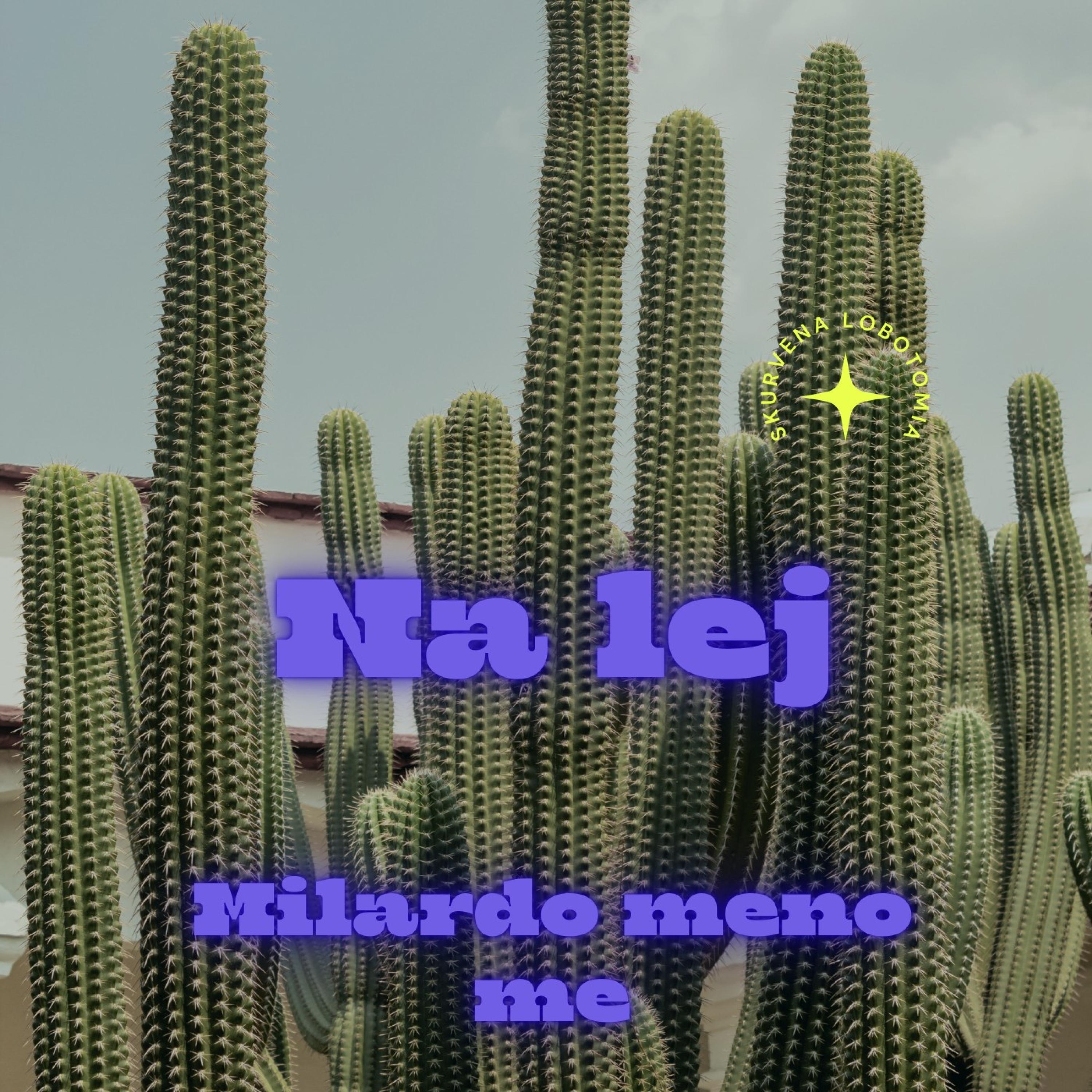 Na lej - Milardo Meno Me - 单曲 - 网易云音乐