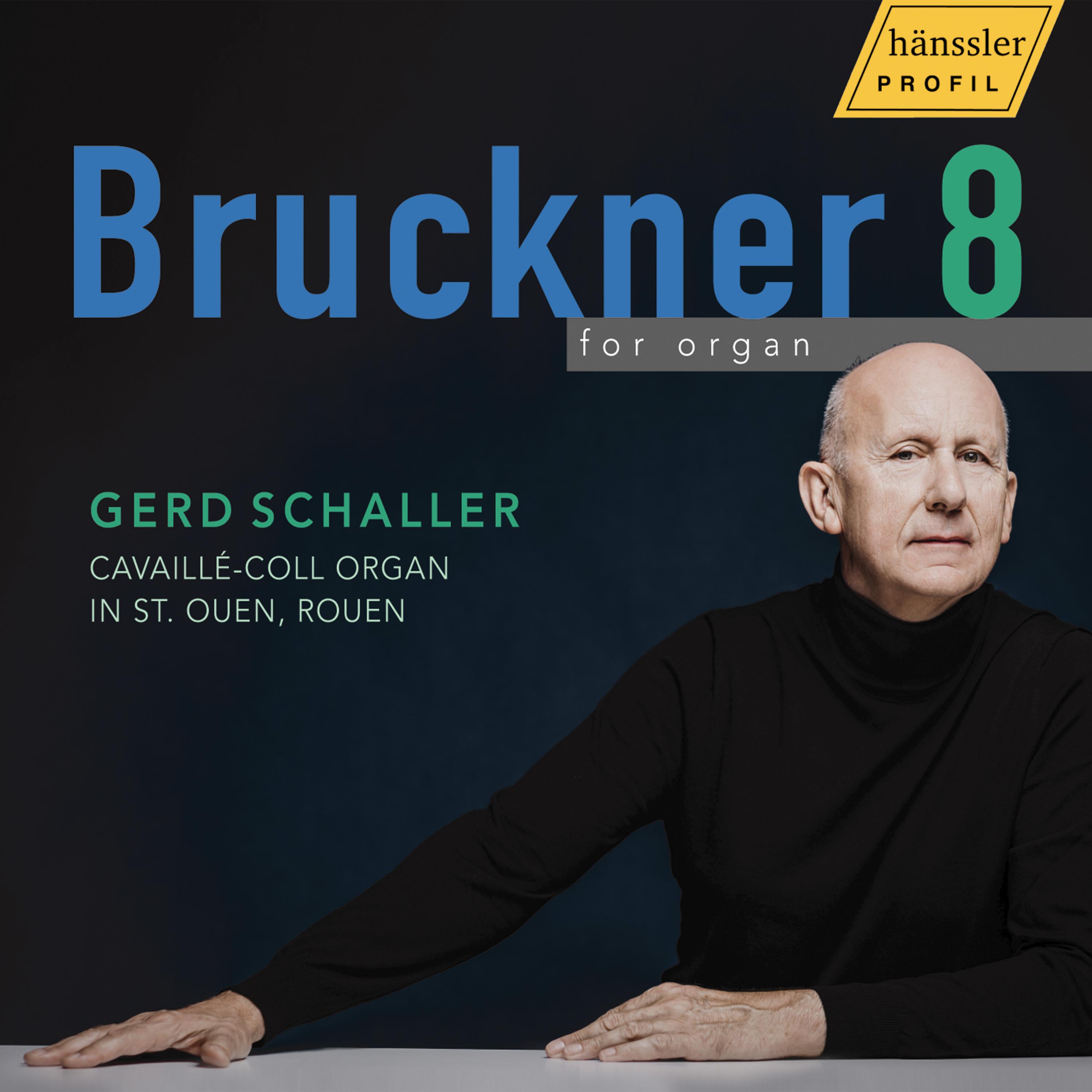 II. Scherzo. Allegro moderato - Trio. Langsam - Gerd Schaller - 单曲 - 网易云音乐