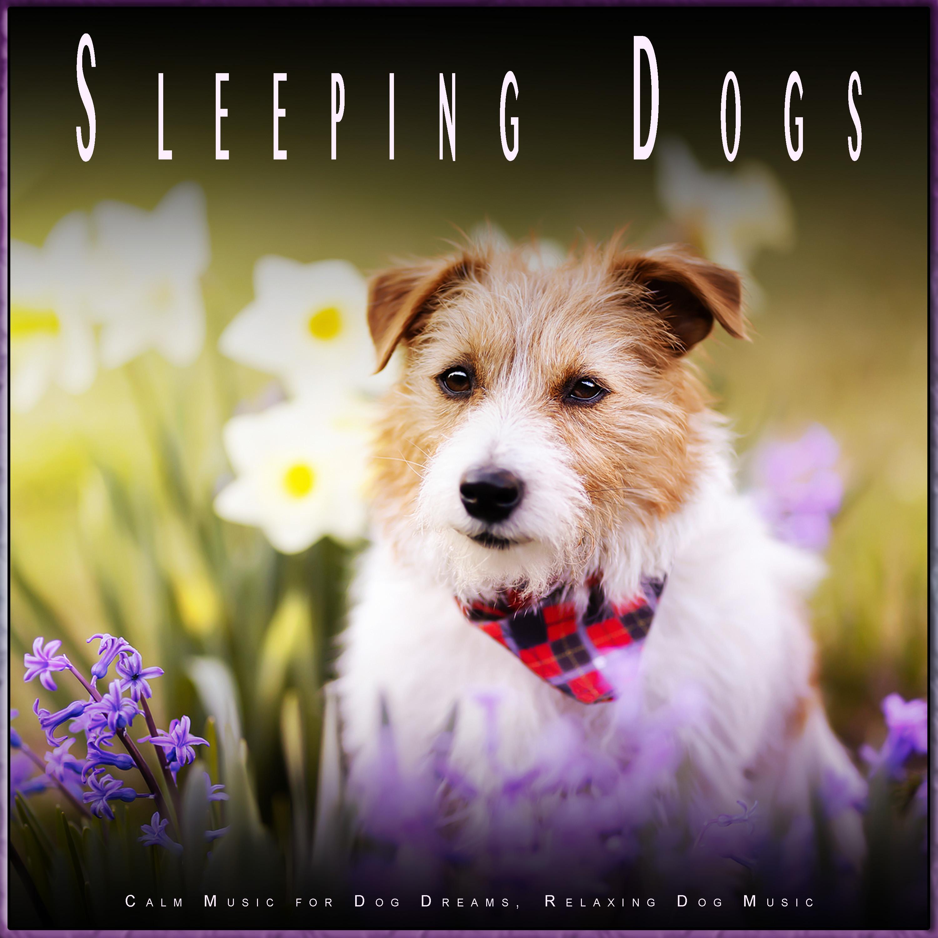 Man's Best Friend - Dog Music/Calming Music for Dogs/Dog Music ...