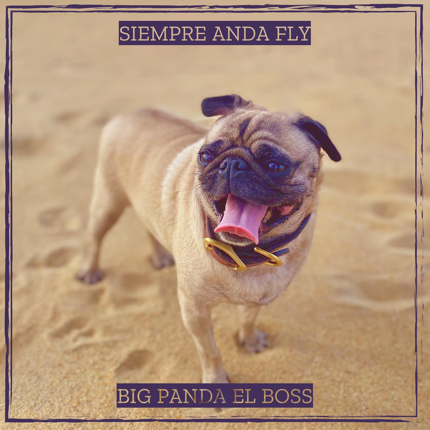 Siempre Anda Fly - Big Panda El Boss - 专辑 - 网易云音乐