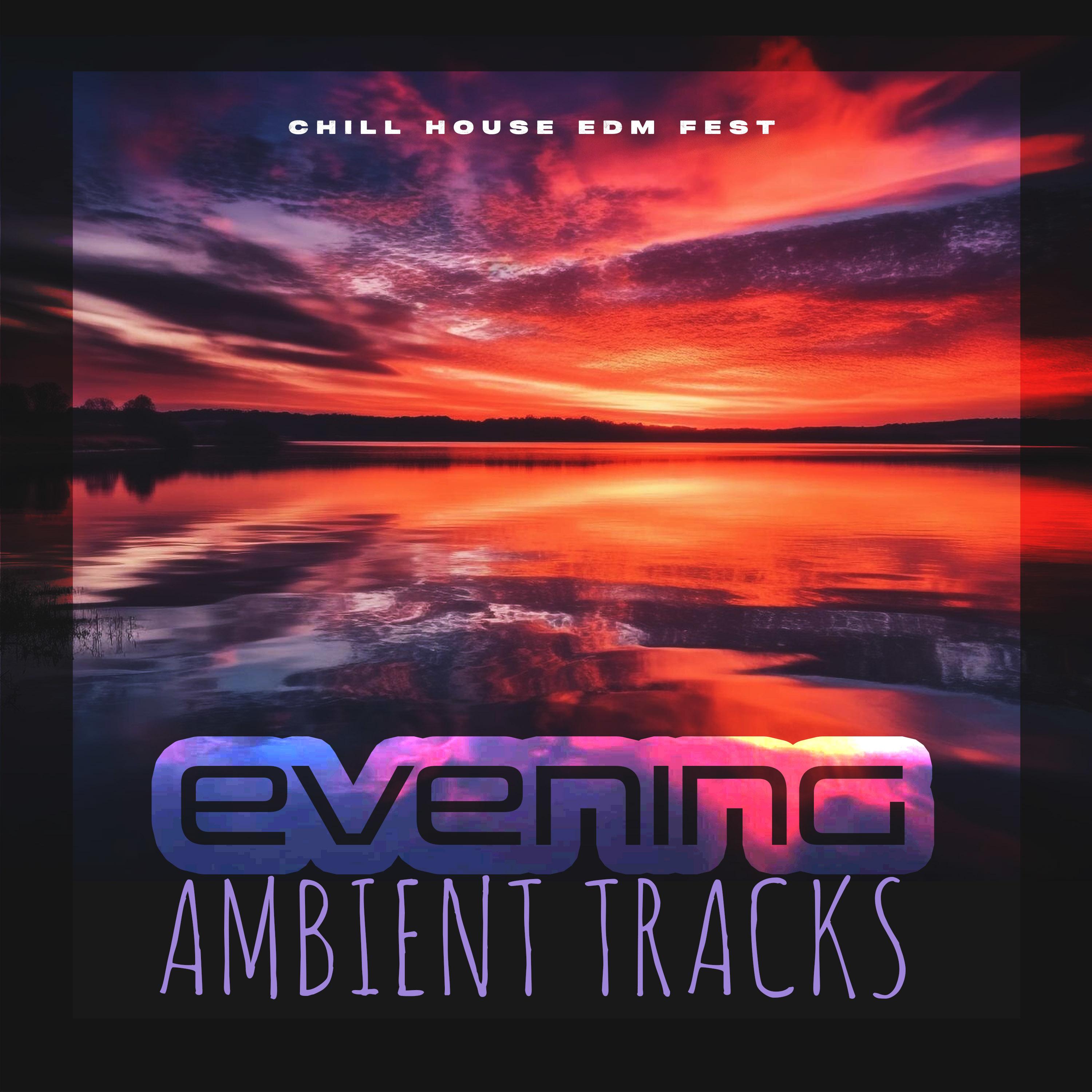 Galaxy Gliding - Chill House EDM Fest - 单曲 - 网易云音乐