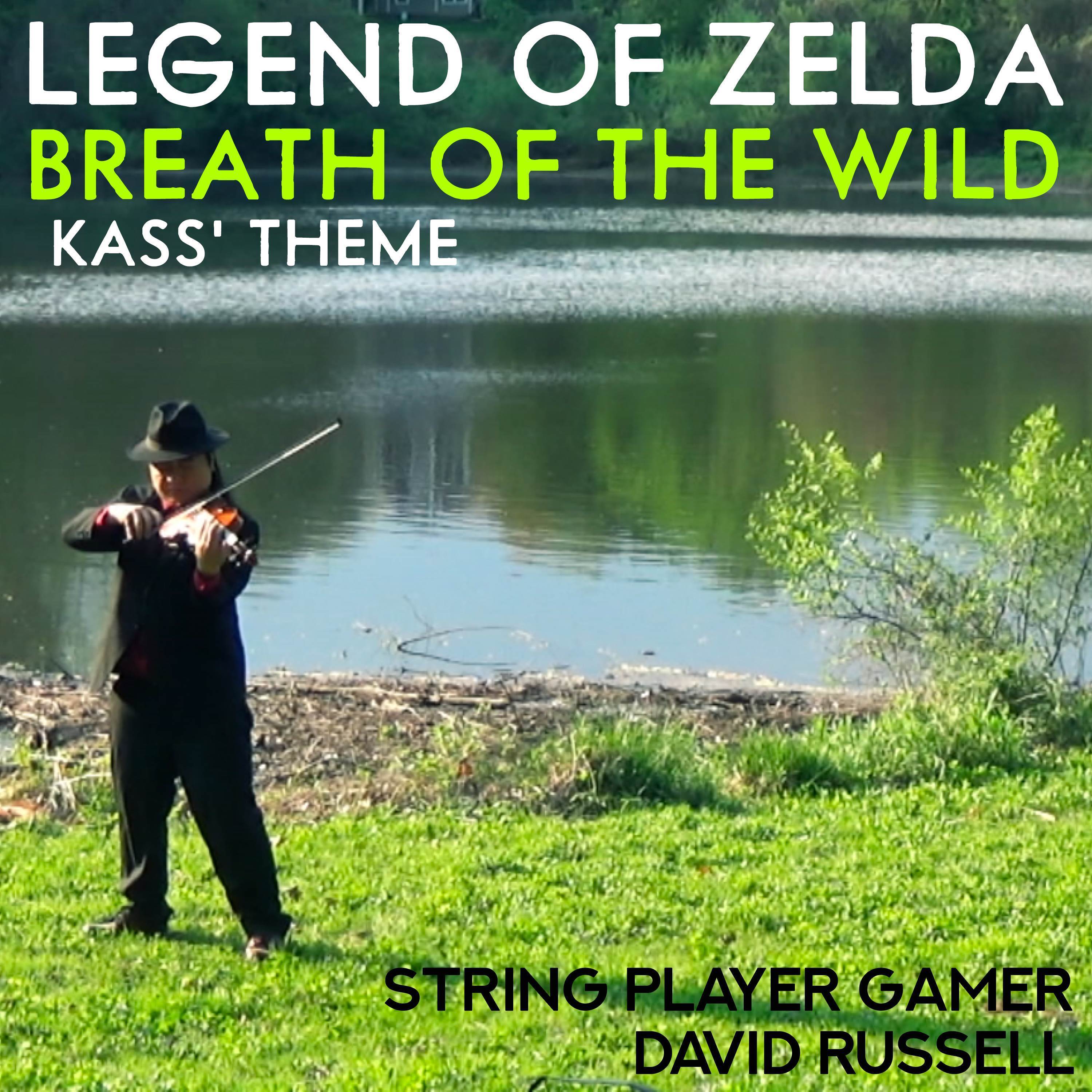 Kass' Theme - String Player Gamer/David Russell - 单曲 - 网易云音乐
